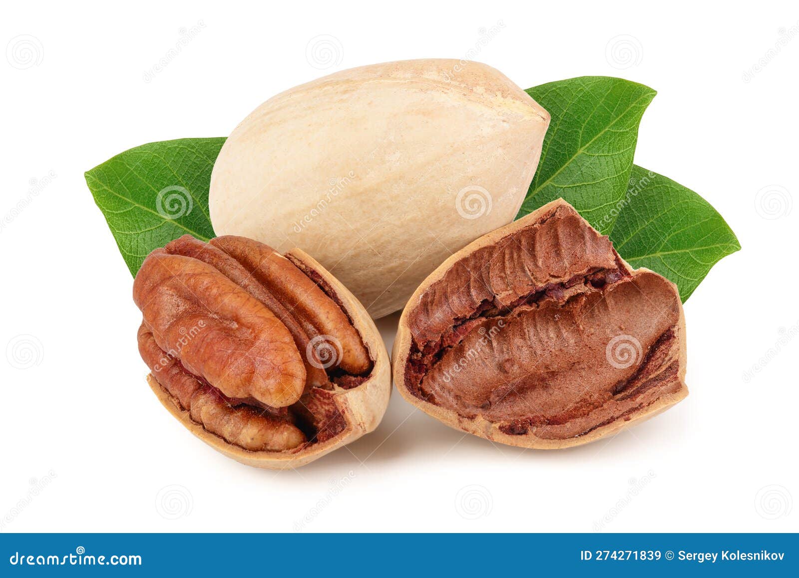 Three Pecan Nuts Isolated on White Background Stock Image - Image of ...