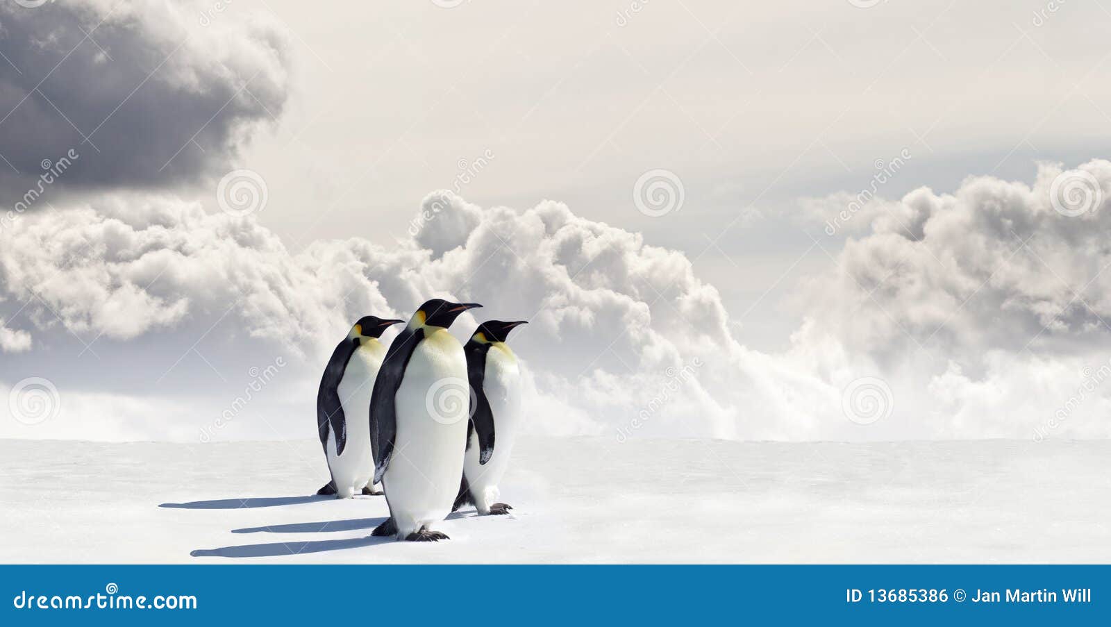 Three penguins stock photo. Image of king, clouds, trio - 13685386