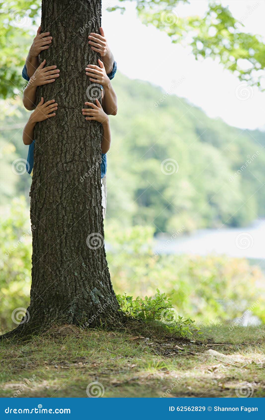 Three people behind tree stock image. Image of outdoor - 62562829