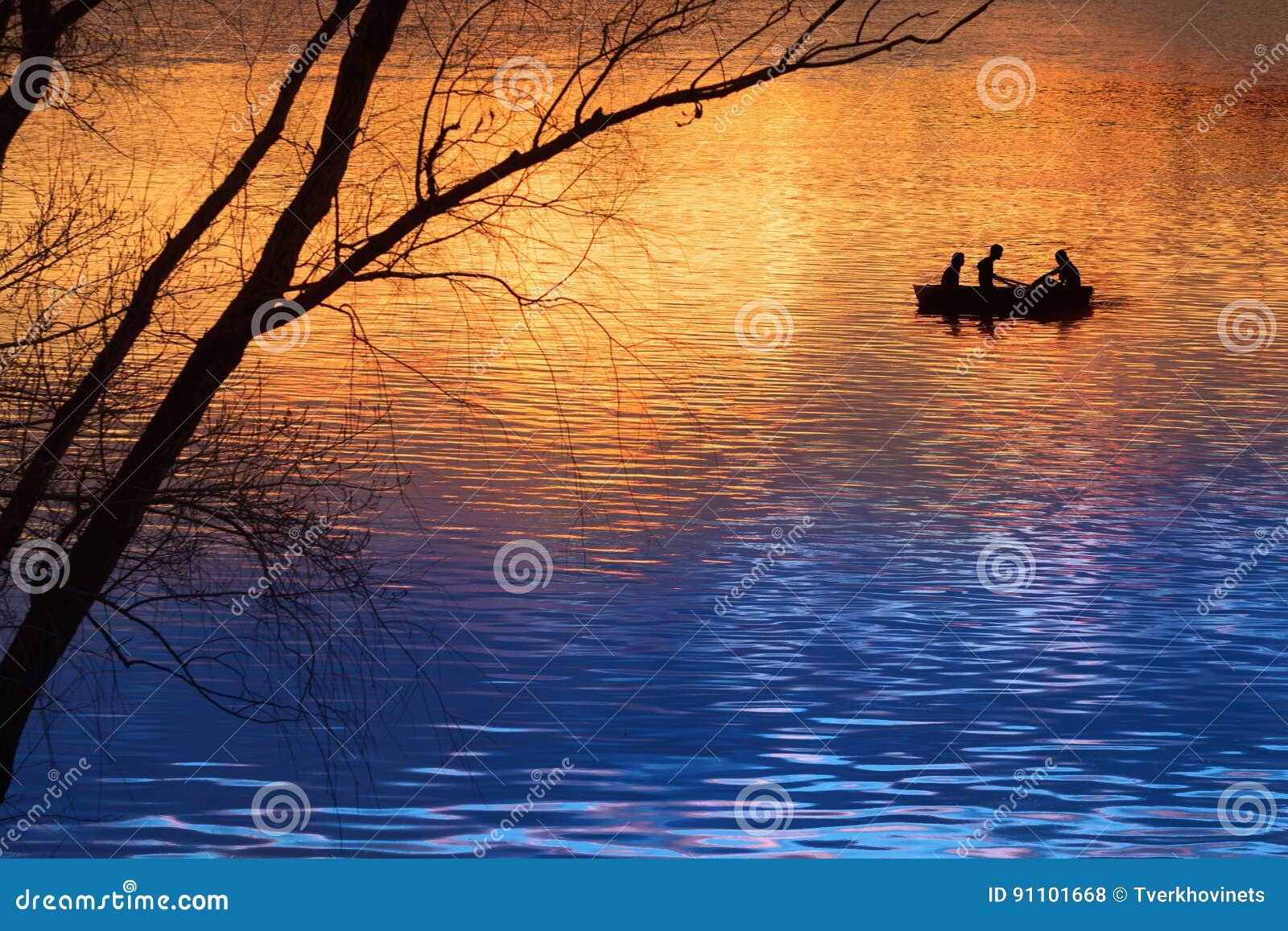 Three People Rowing the Boat Stock Photo - Image of branches, sunny ...