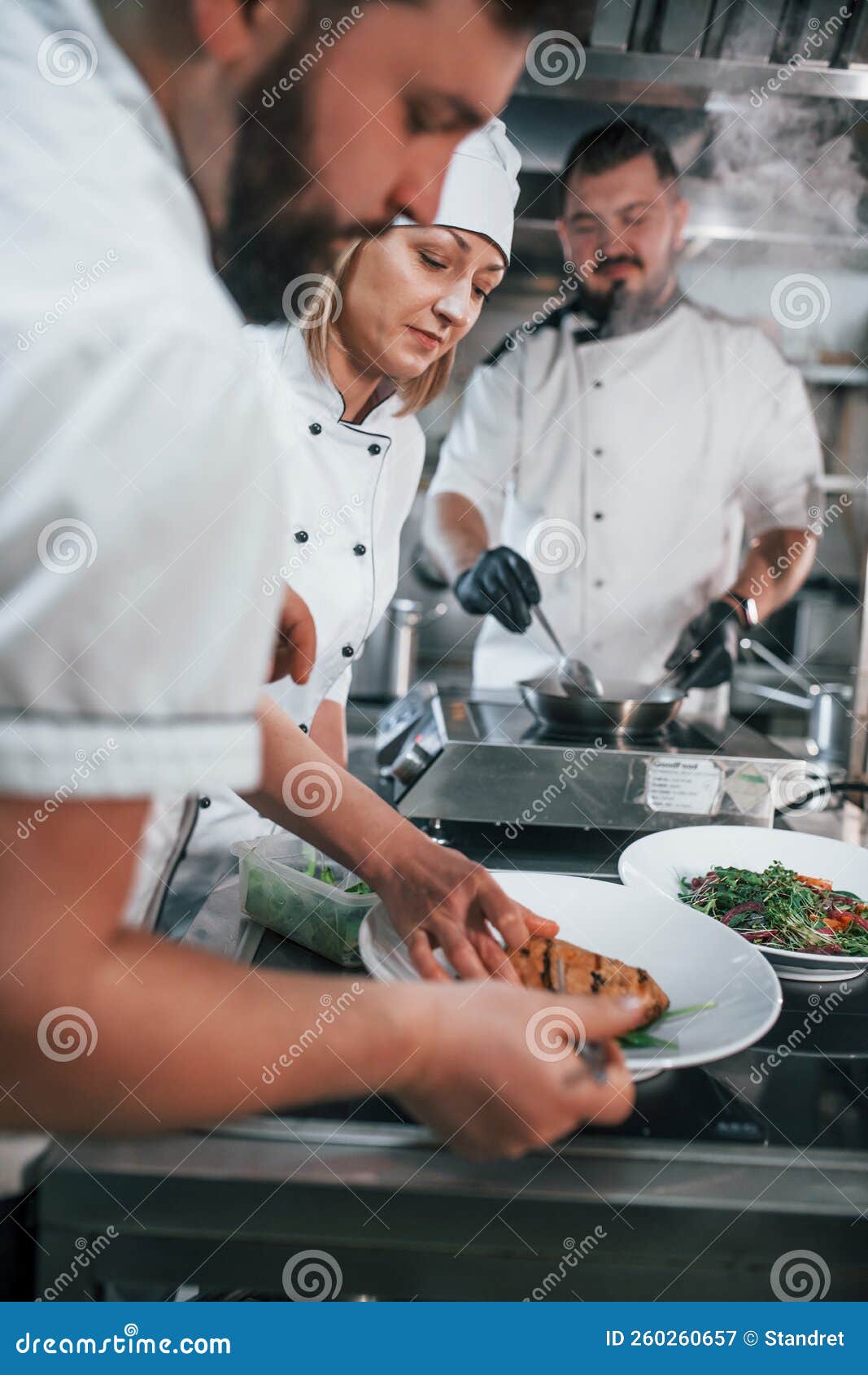 Three People Woring Together. Professional Chef Preparing Food in the ...
