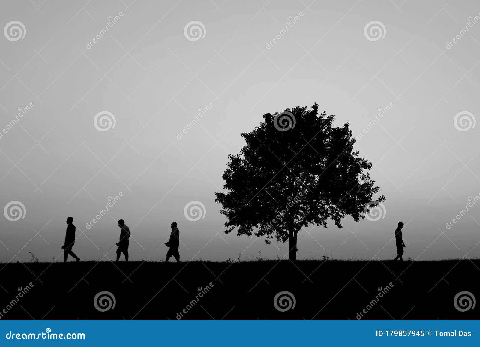 Three Person are Working Keeping a Tree and a Man Behind Stock Image ...