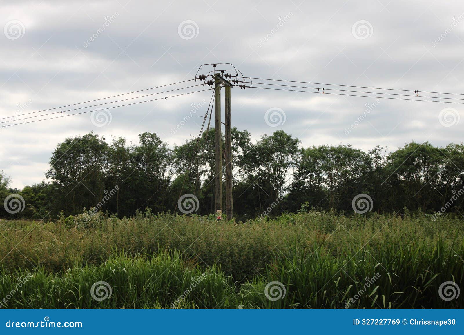 Three Phase Overhead Powerline in a Field UK Stock Image - Image of ...