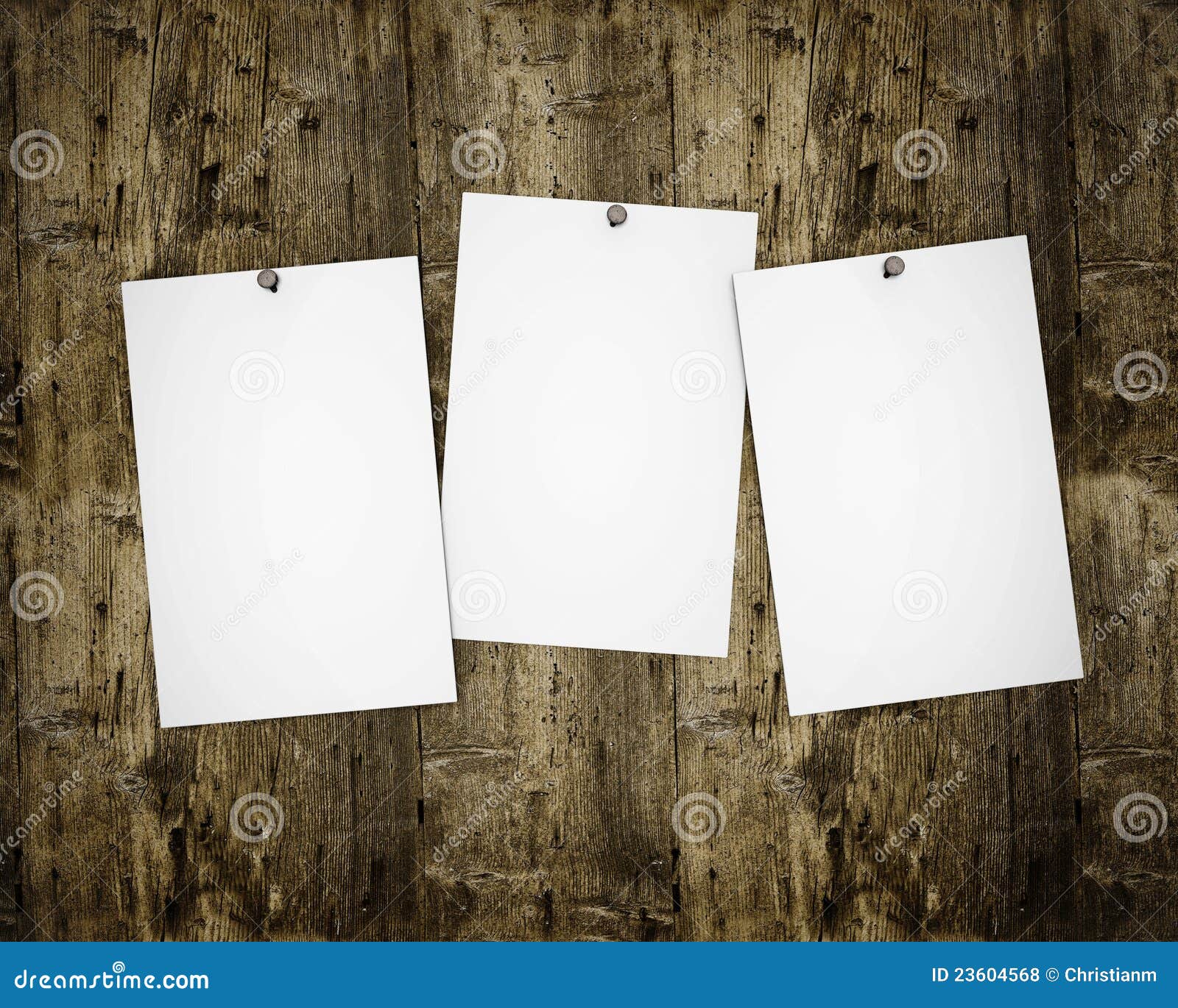 Three Photos on Wooden Board Stock Illustration - Illustration of ...