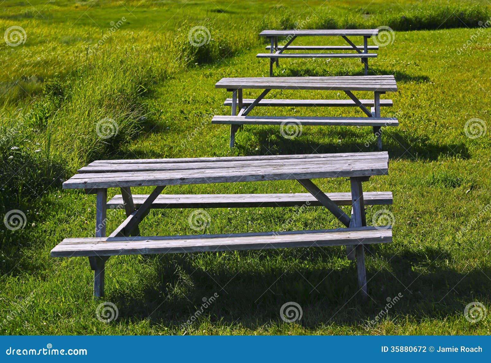 Three Picnic Wooden Tables Grass Stock Photo - Image of wood, picnic ...