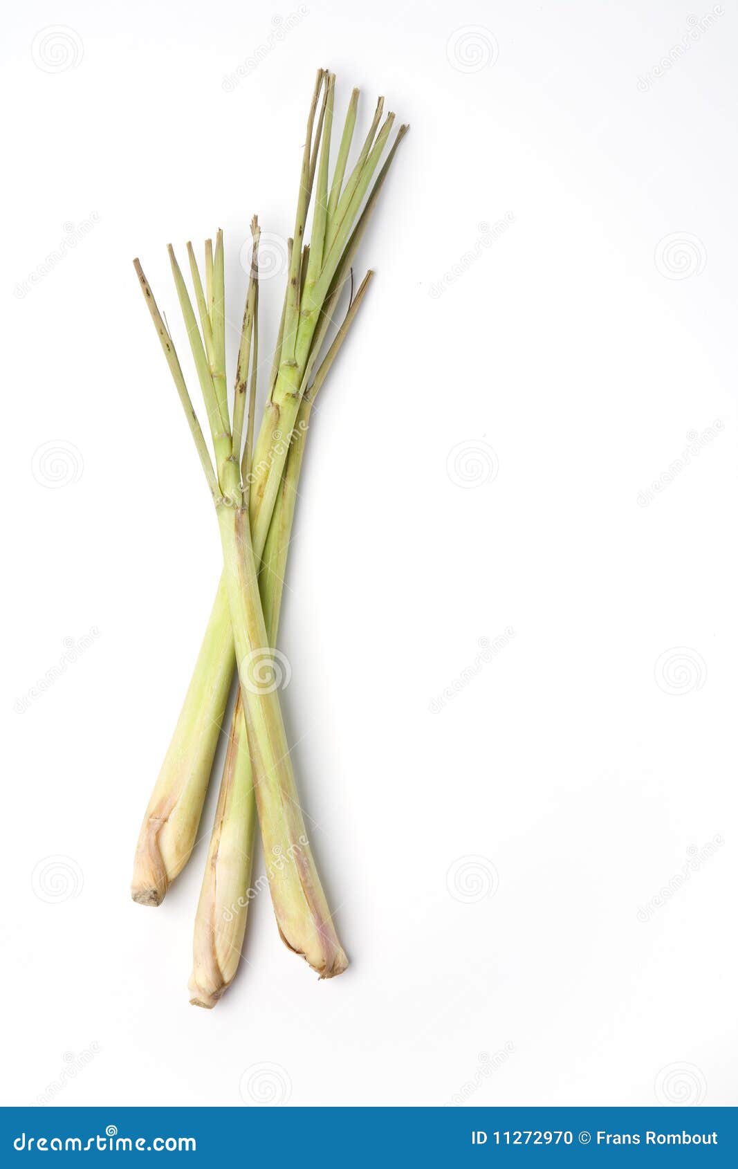Three Pieces of Fresh Lemon Grass Stock Photo - Image of leaves ...