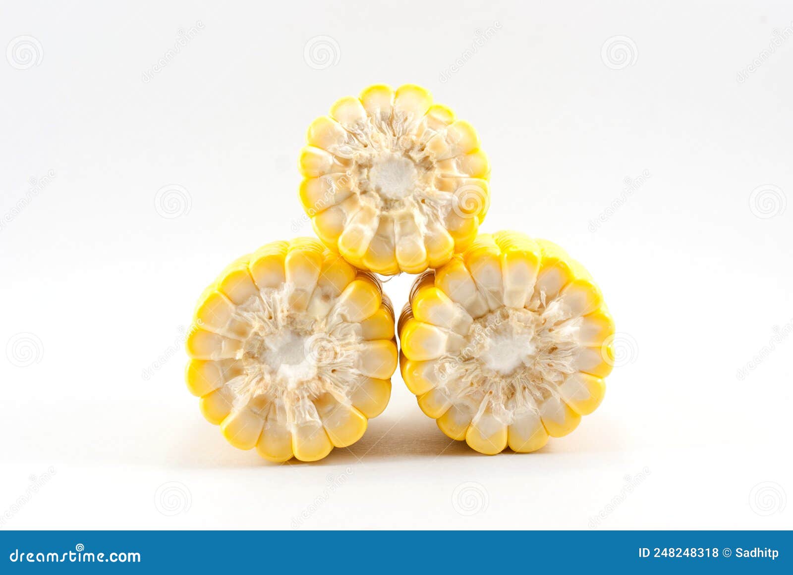 Three Pieces of Sweet Corn on a White Background Stock Photo - Image of ...