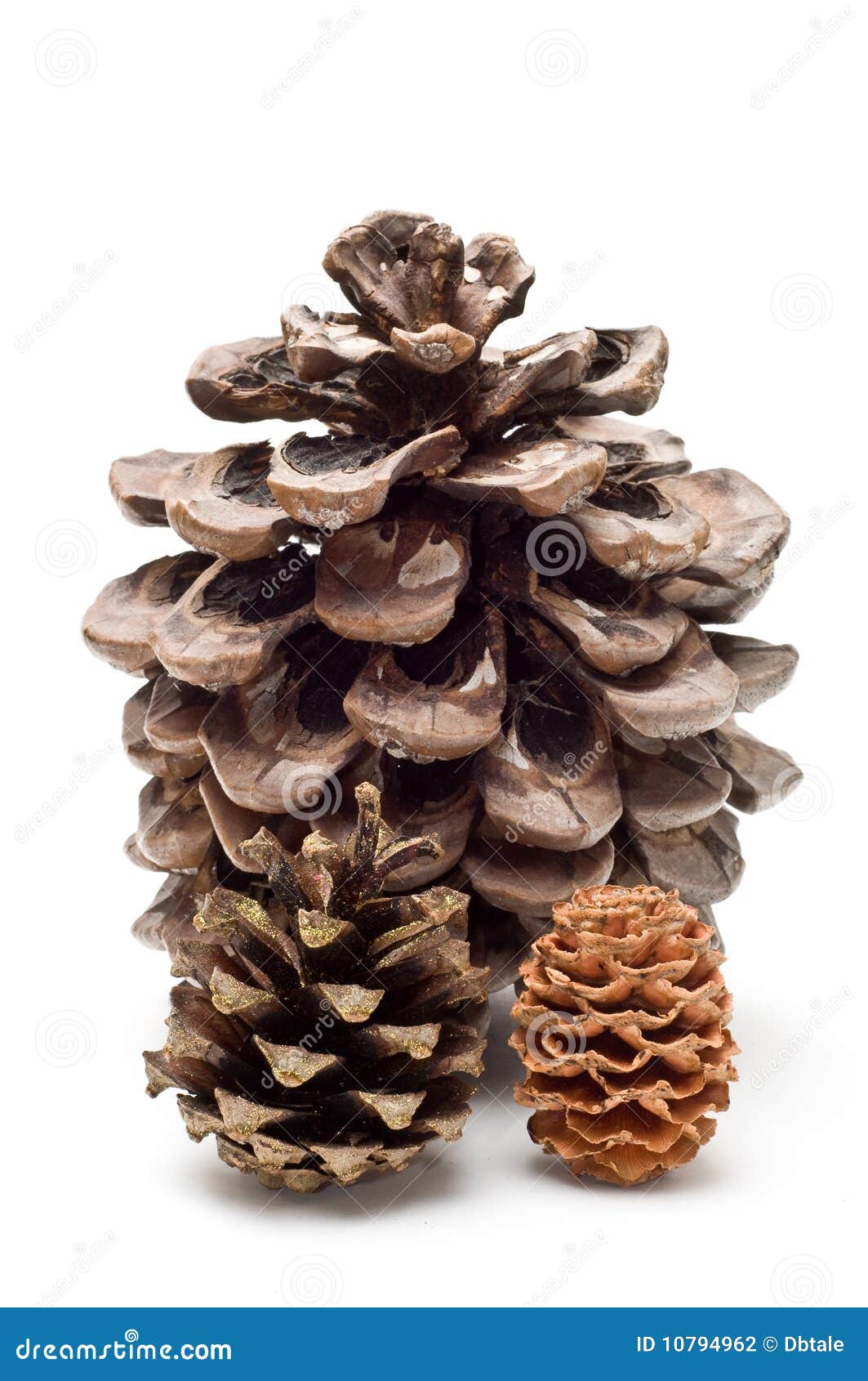 Row Of Three Pine Cones On A Bench Royalty-Free Stock Image ...