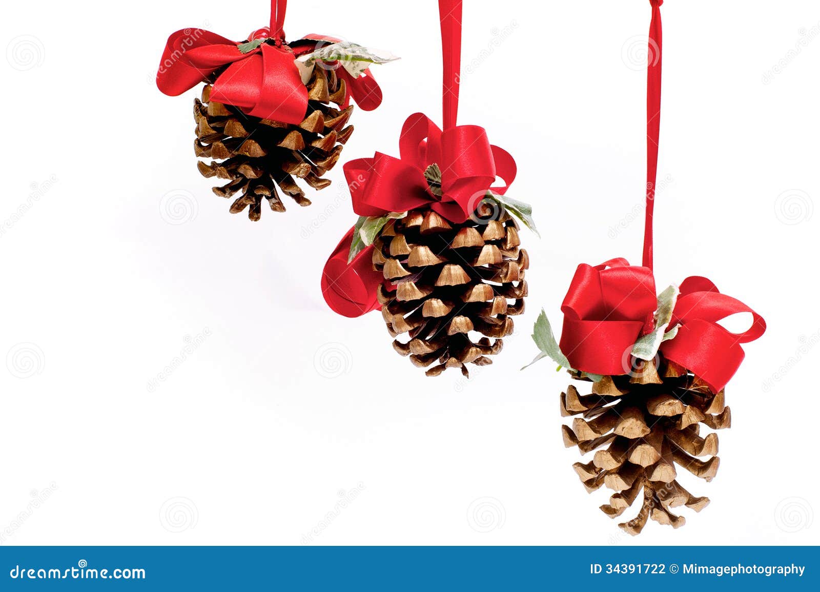 The Three Pine Cones In The Tree Stock Photo | CartoonDealer.com #175130196