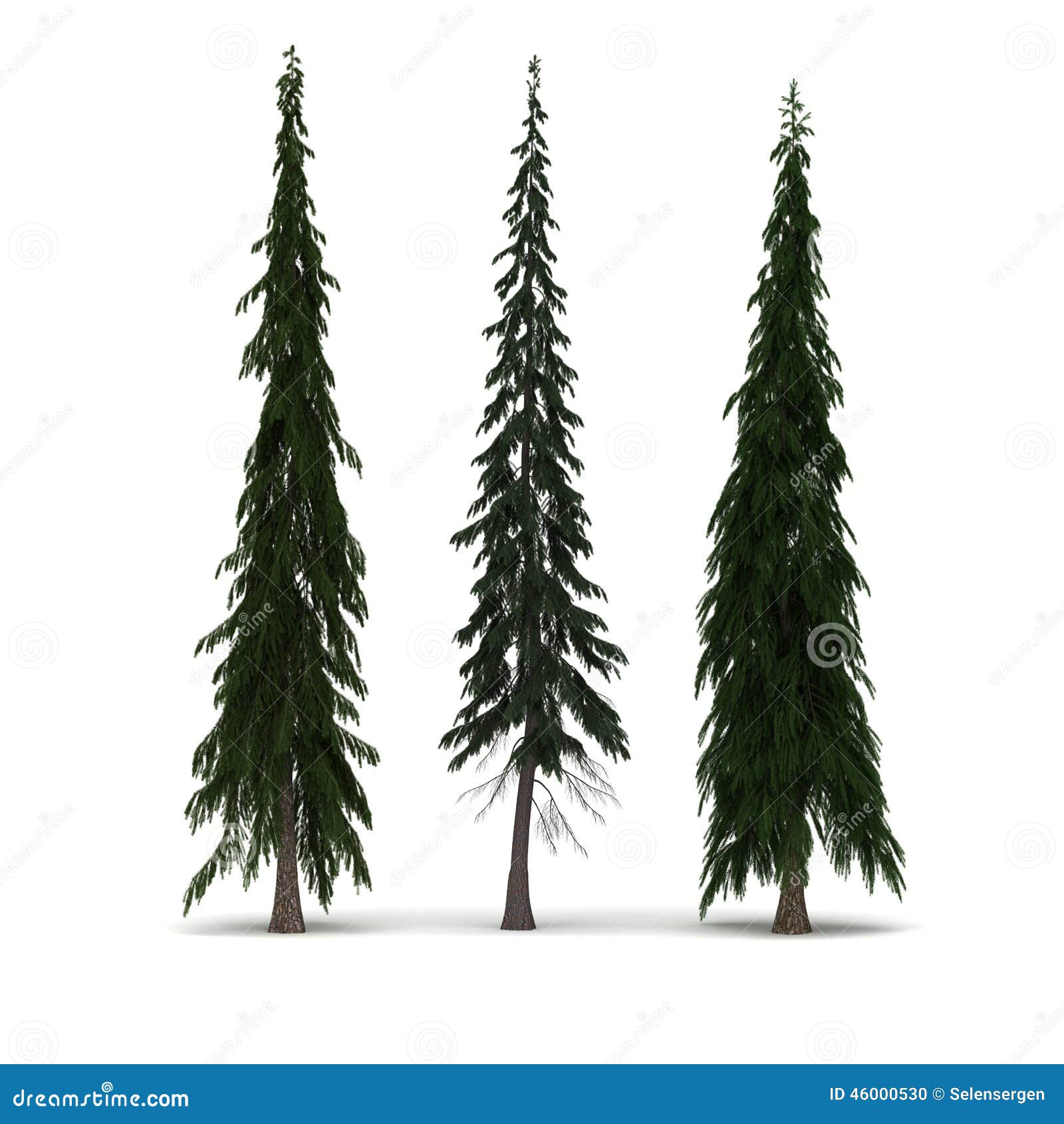 Three Pine Tree stock illustration. Illustration of outdoor - 46000530