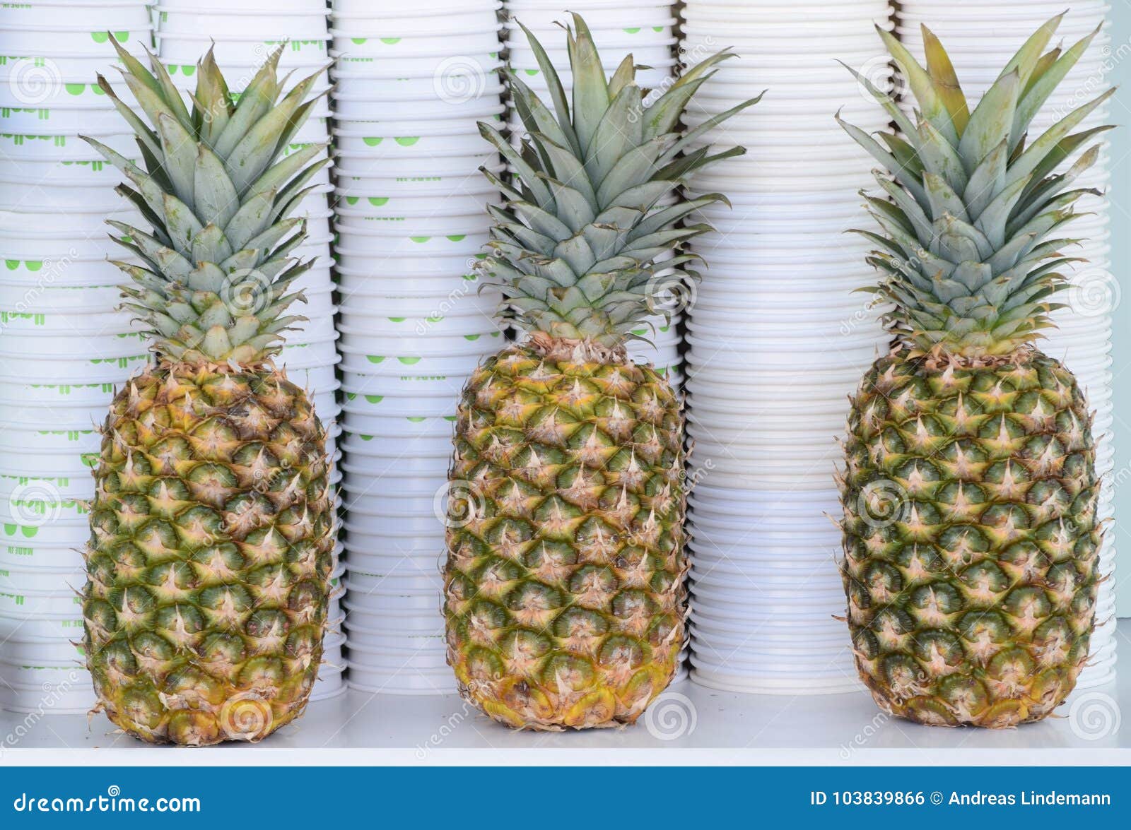 Three Pineapple, Very Cool Presented Stock Photo - Image of three, wall ...
