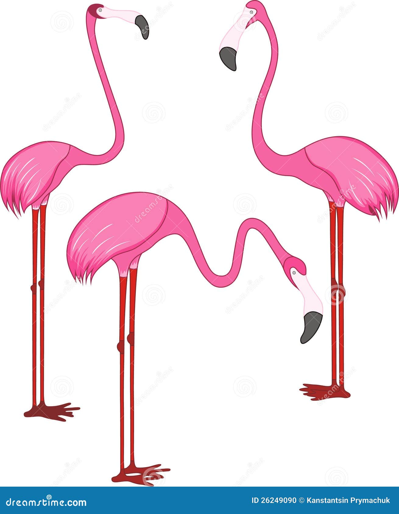 Three pink flamingos stock vector. Illustration of funny - 26249090