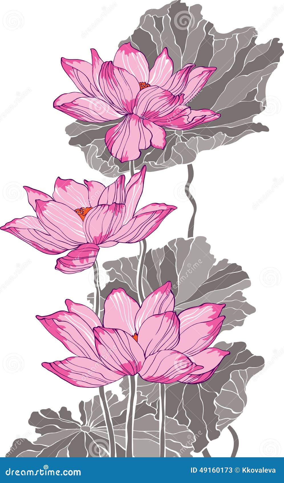 Lotus. Drawing Worksheet. Cartoon Vector | CartoonDealer.com #75234753