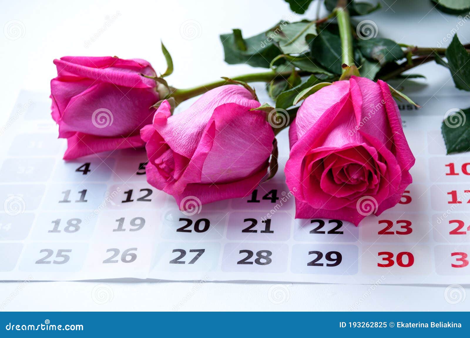 Three Pink Roses are on the Calendar Stock Image - Image of decoration ...