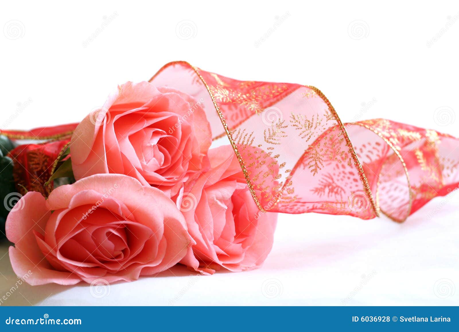 Three Pink Roses and Ribbon Stock Photo - Image of horizontal, macro ...