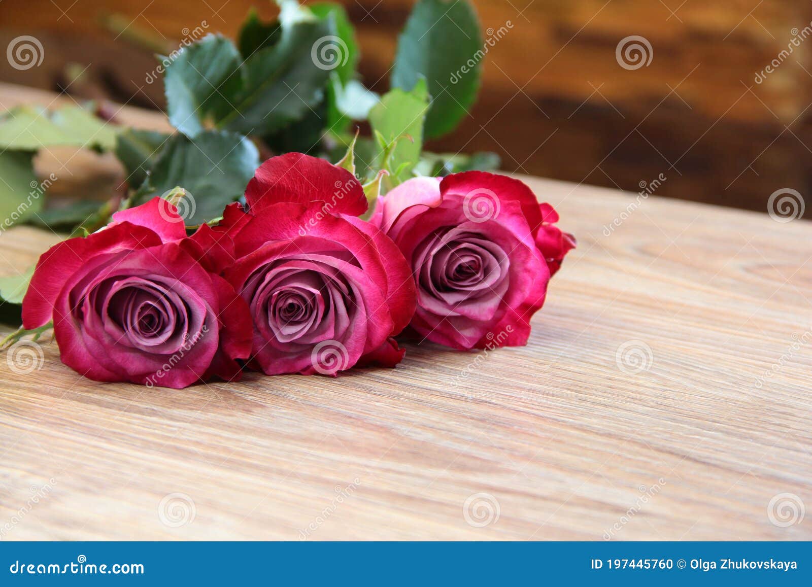 Three Pink Roses on a Wooden Background Stock Photo - Image of gift ...