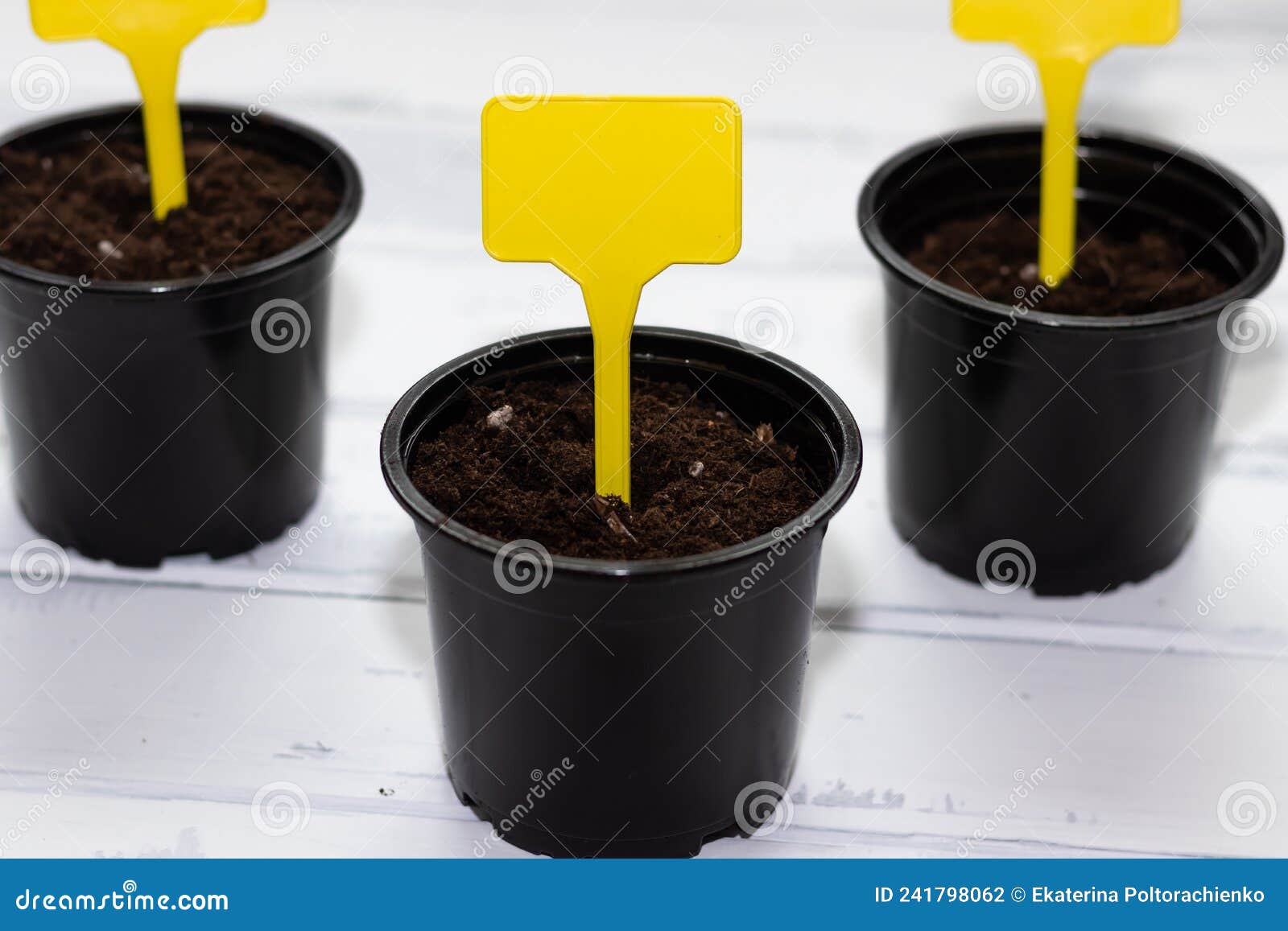 Three Planters with a Sign for Text, Gardening, Copy Space Stock Photo ...