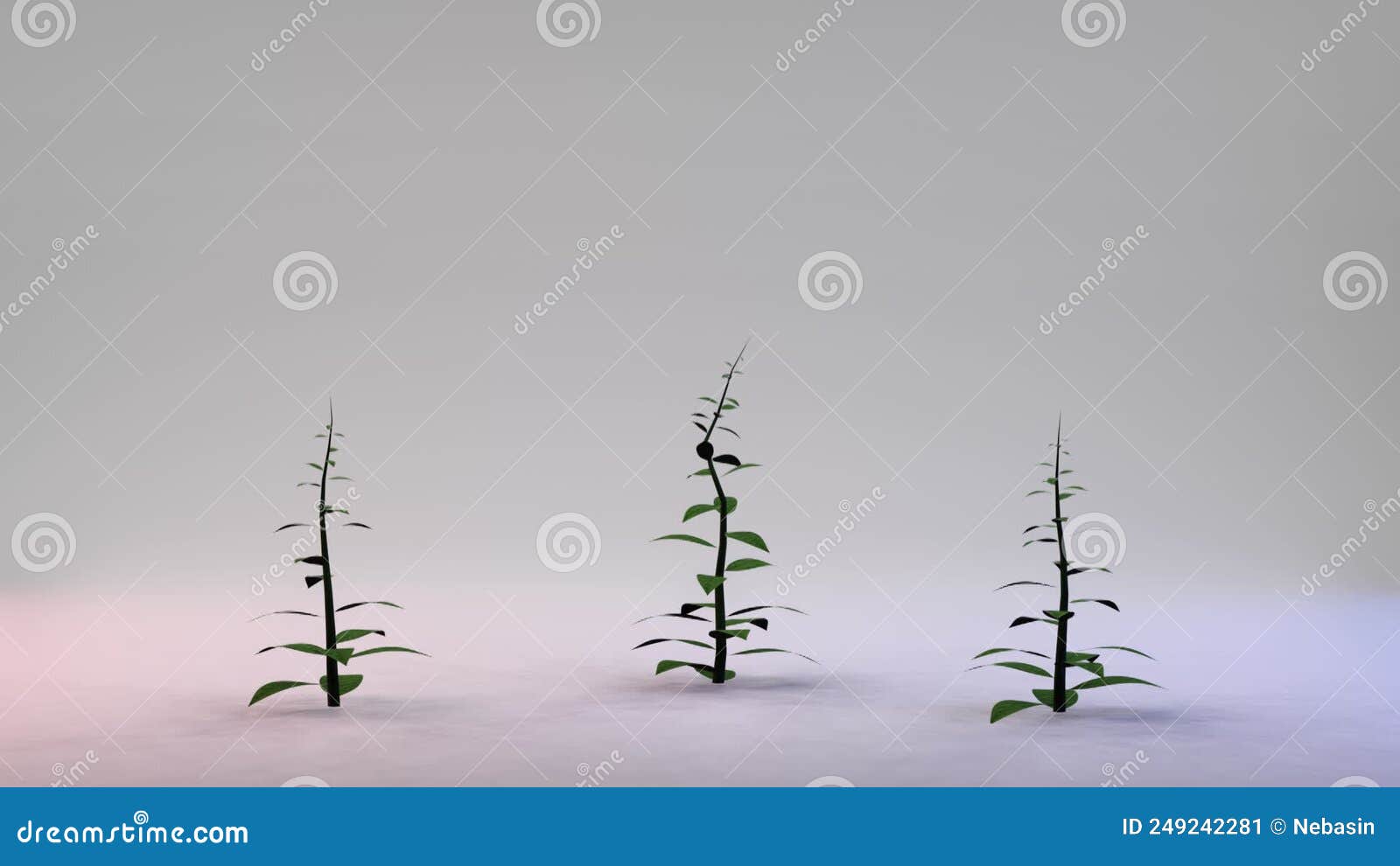 Three Plants Grow on a White Background. 3d Render Animation Stock ...