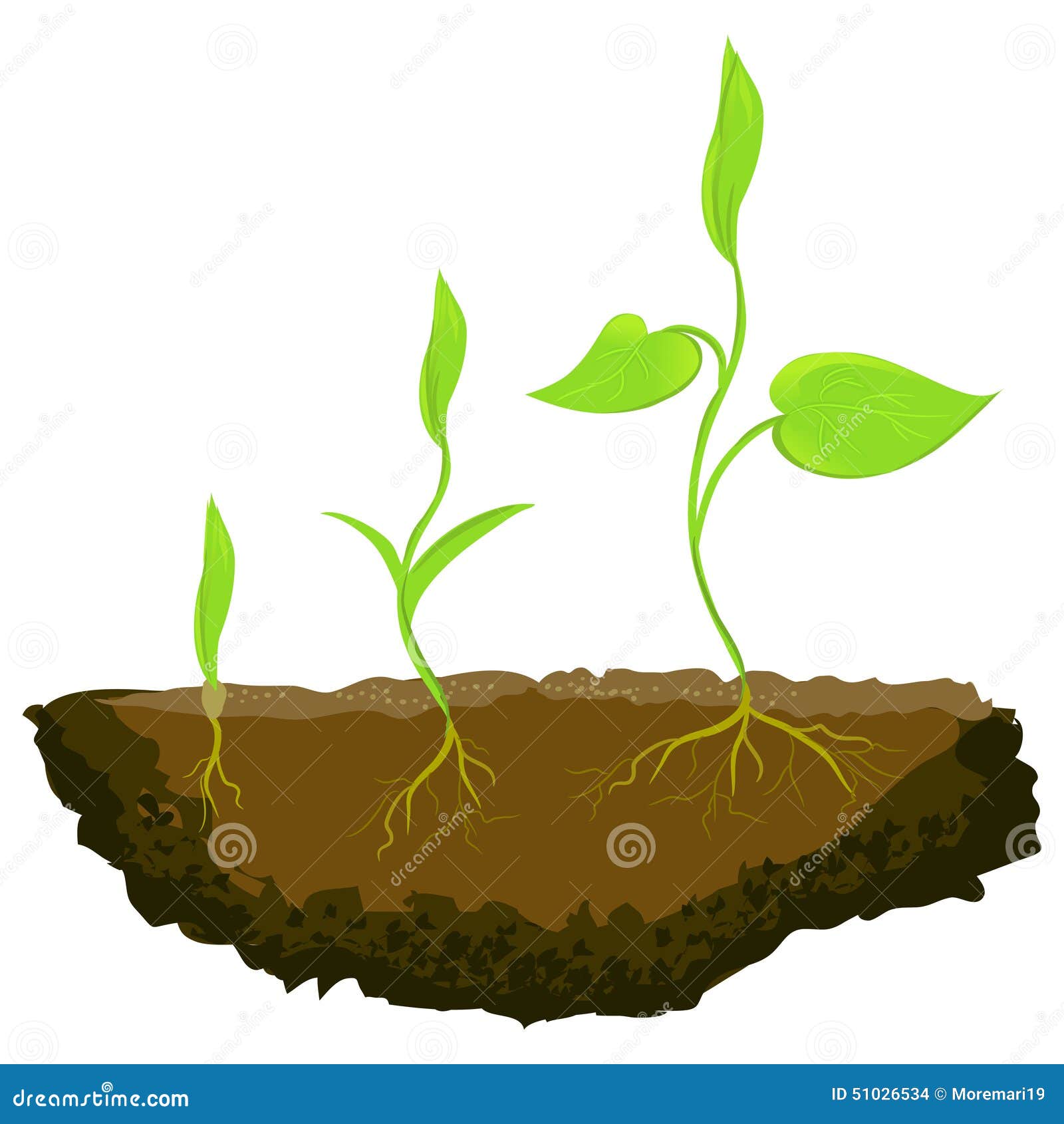 Three Plants In Pots With Patterns On A White Background. AI Generative ...