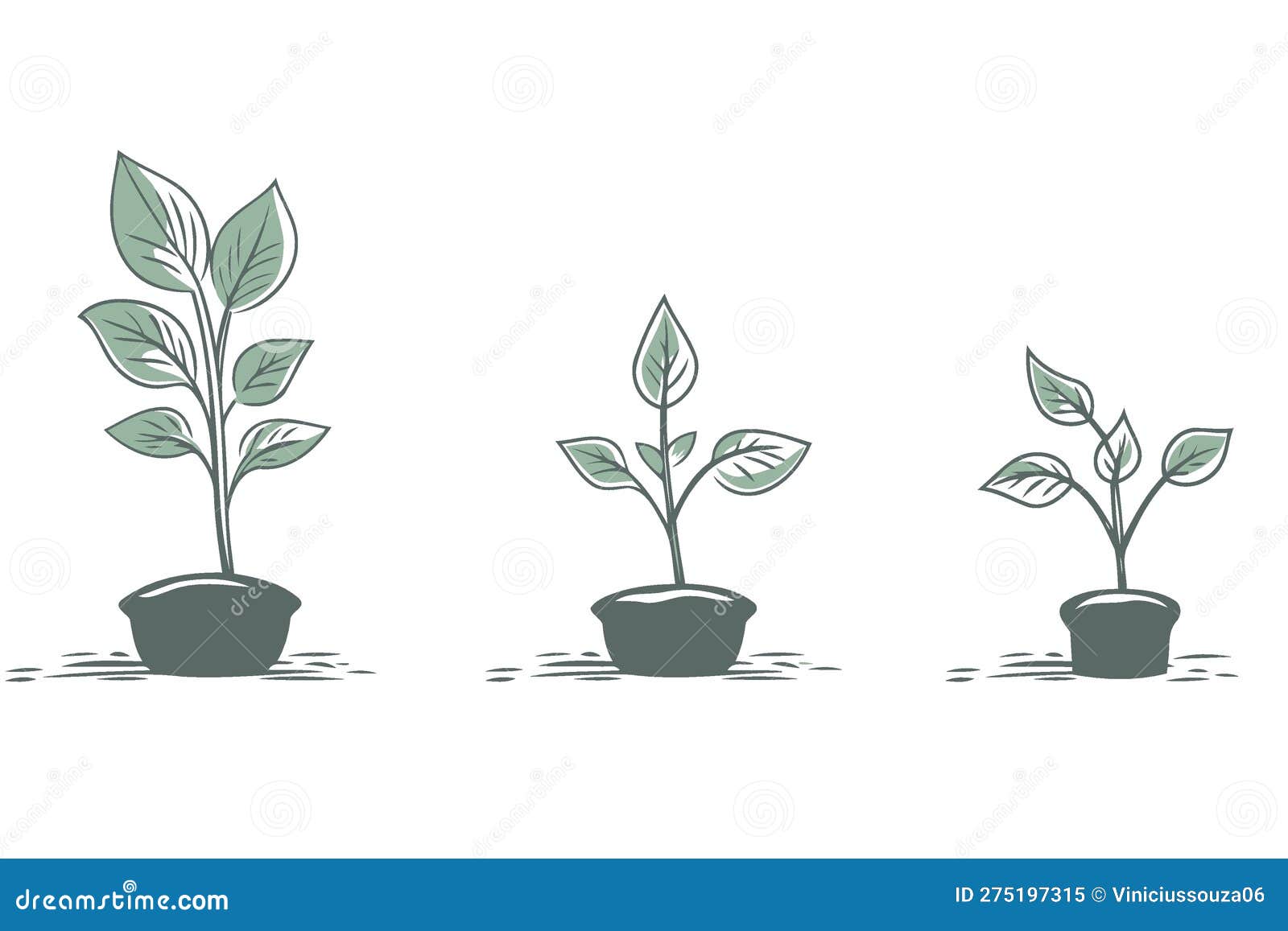 Three Plants Growing in Three Pots Stock Vector - Illustration of ...
