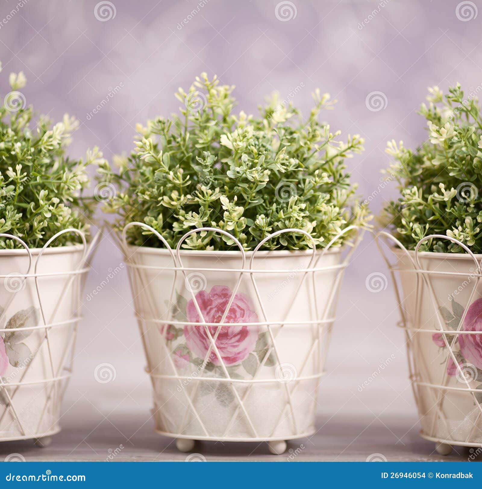 Three Plants in Ornamented Flowerpots Stock Photo - Image of blossom ...
