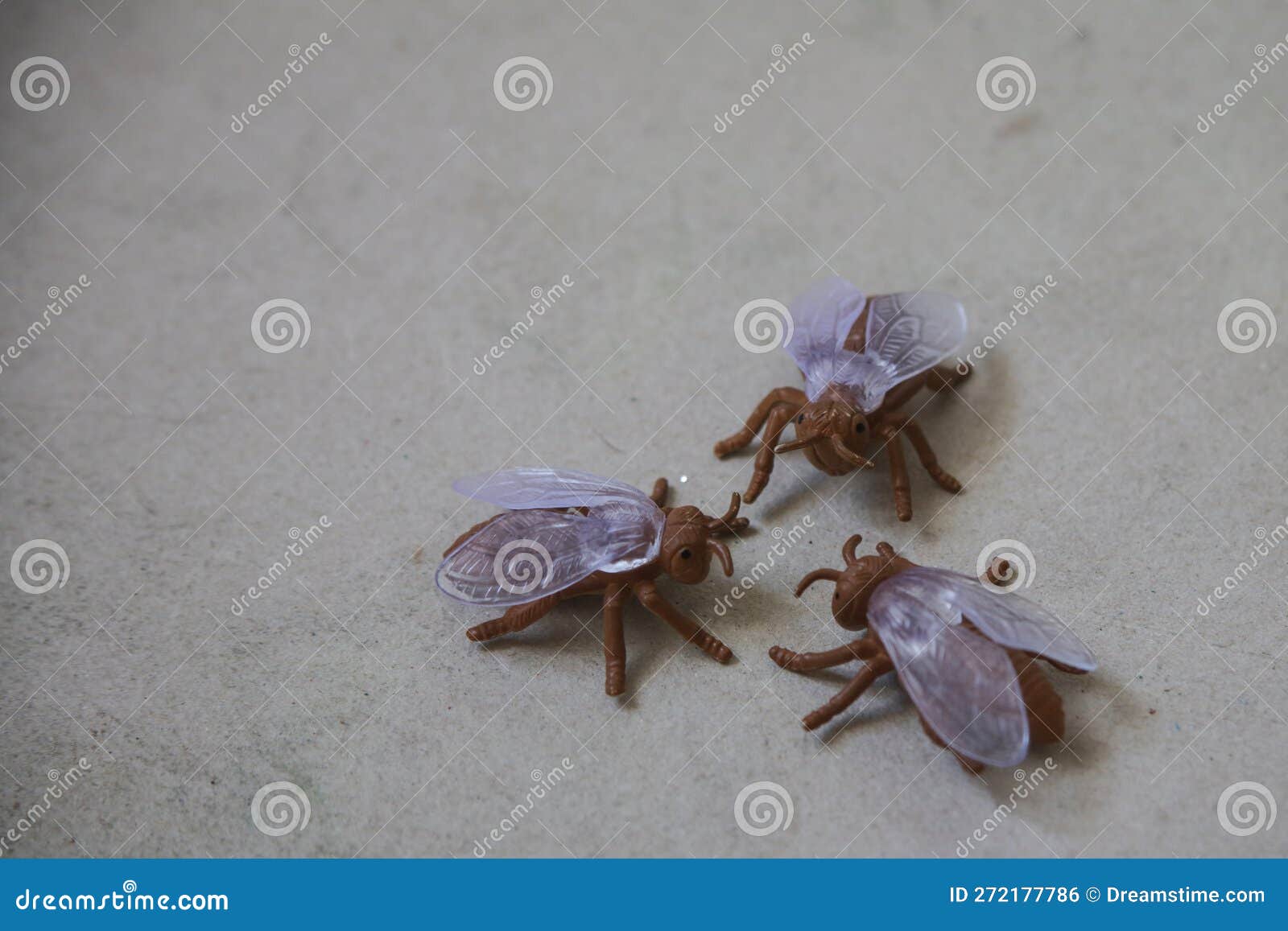 Three Plastic Toy Flies on the Floor Stock Photo - Image of beetle ...