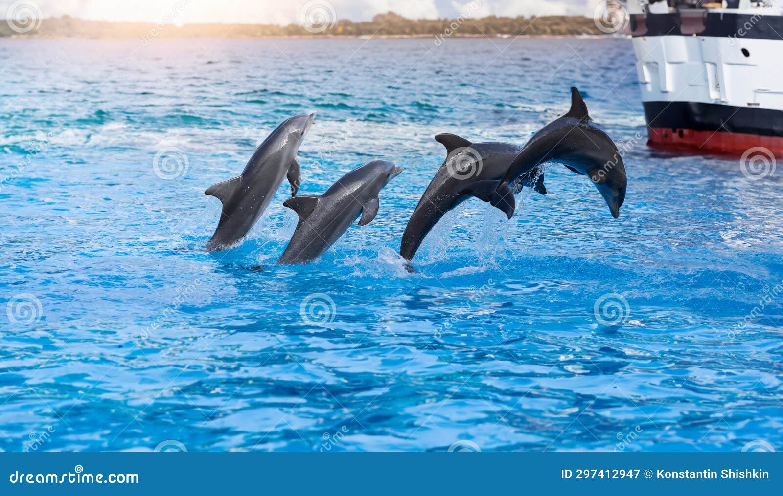 Three Playful Dolphins Leaping in Front of a Boat Stock Image - Image ...