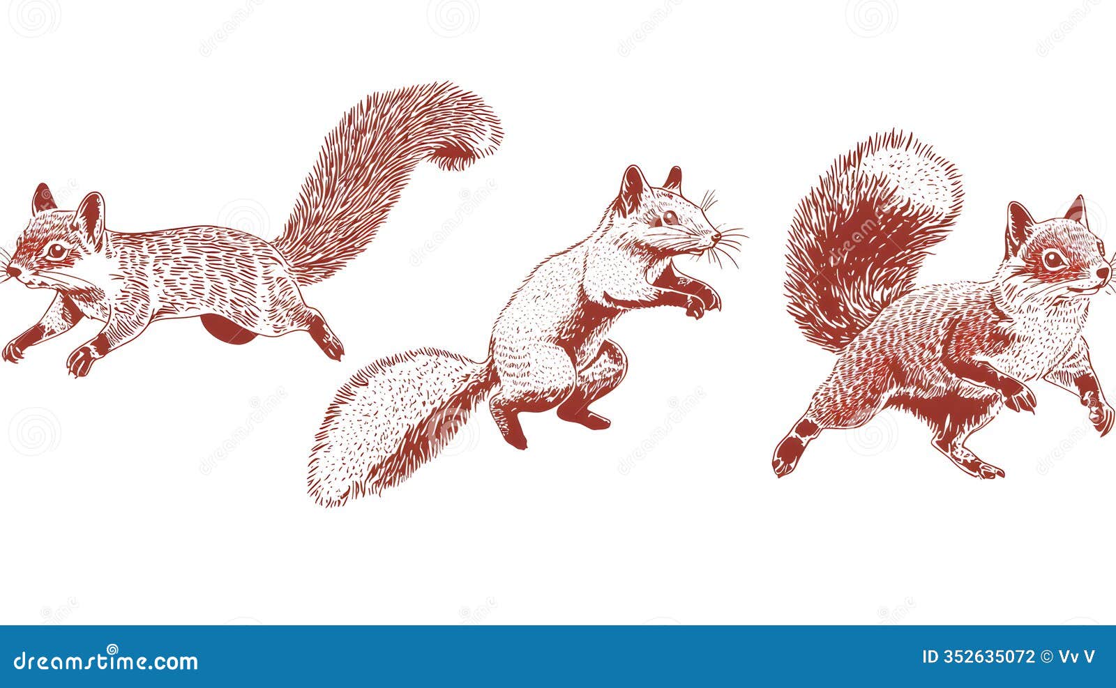 Three Playful Squirrels in Dynamic Poses Stock Illustration ...