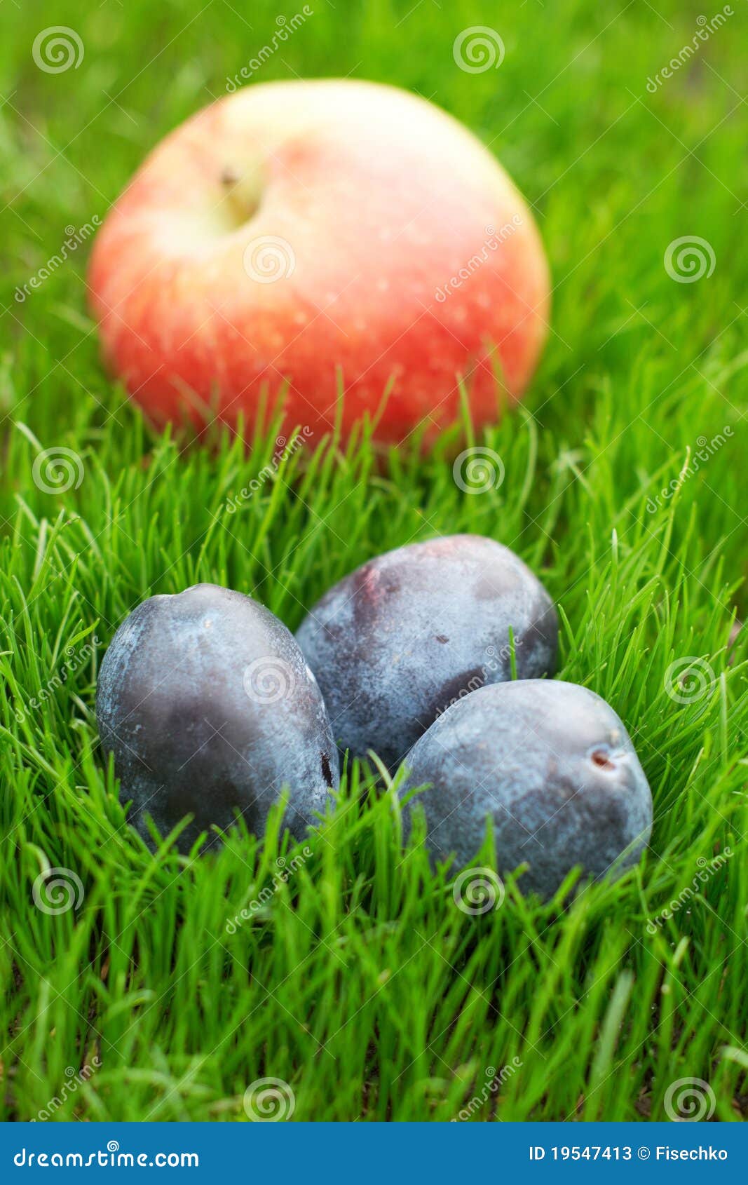 Three plums and apple stock image. Image of ripe, freshness - 19547413