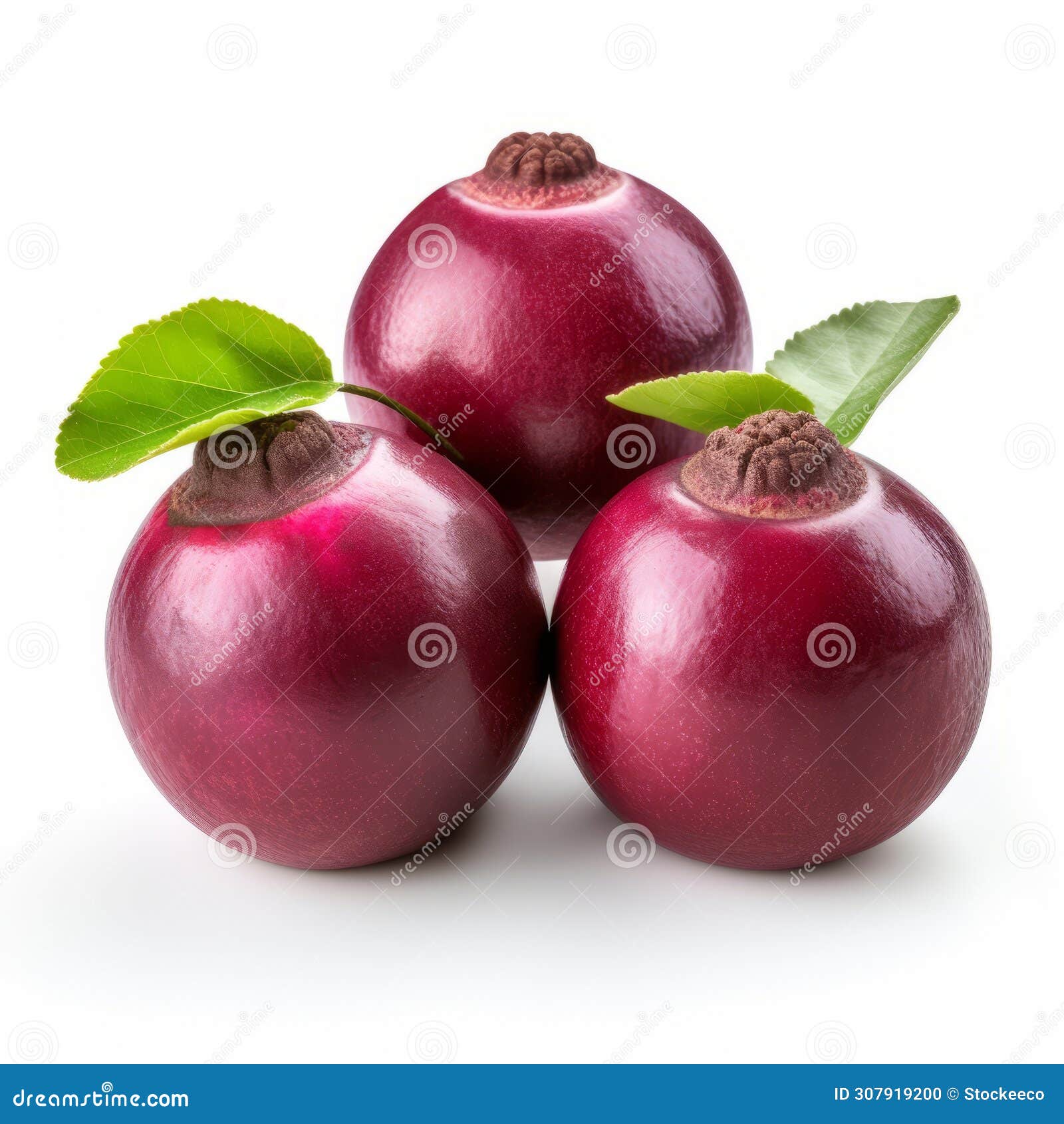 Bold and Colorful Guava Fruit on White Background Stock Illustration ...