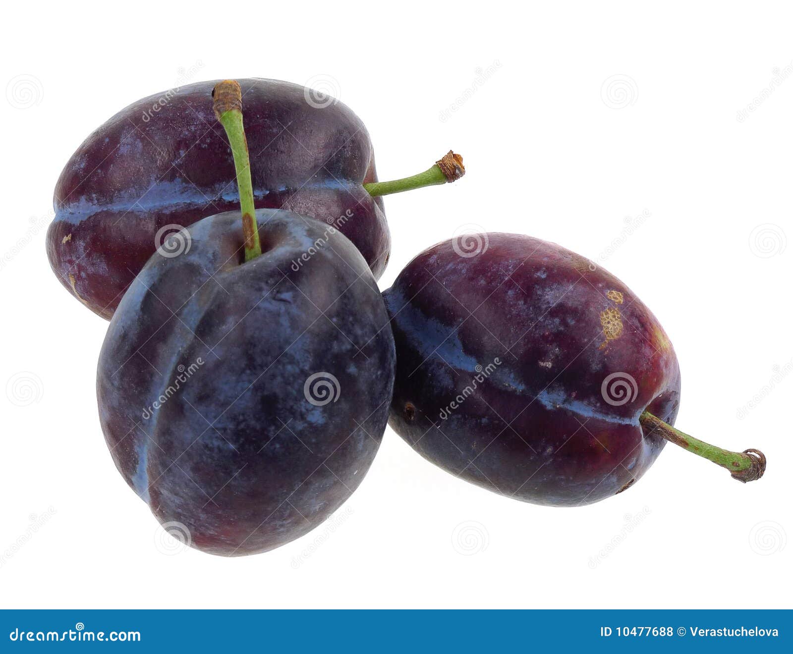Three plums isolated stock photo. Image of sour, purple - 10477688