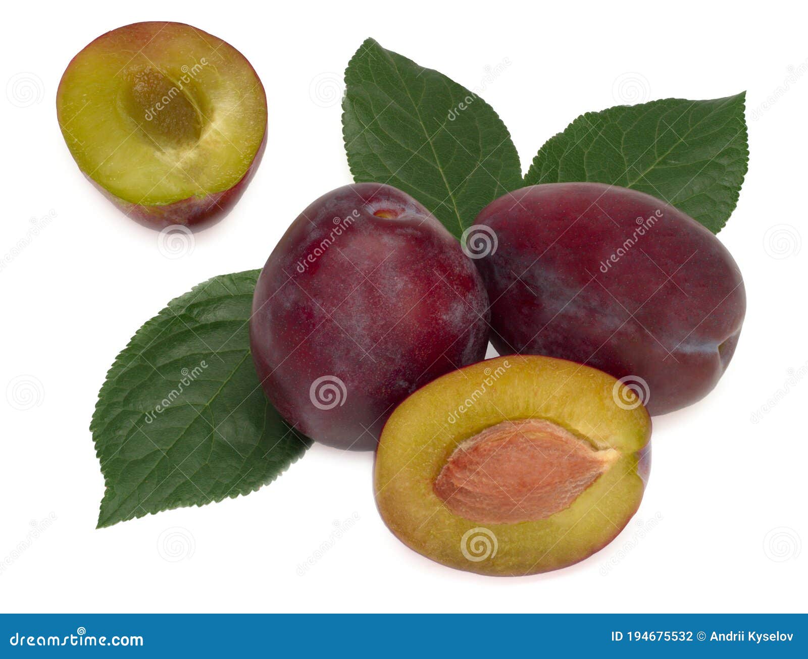 Three Plums with Plum Leaves on White Background. Stock Photo - Image ...