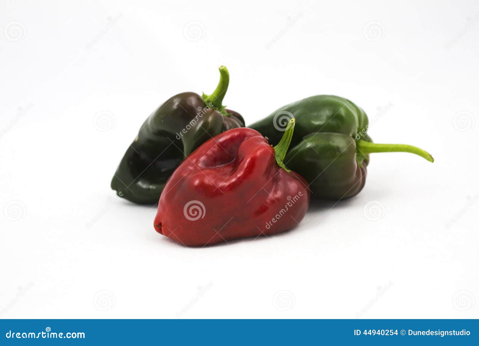 Three Poblano Chile Peppers Stock Photo - Image of chili, pepper: 44940254