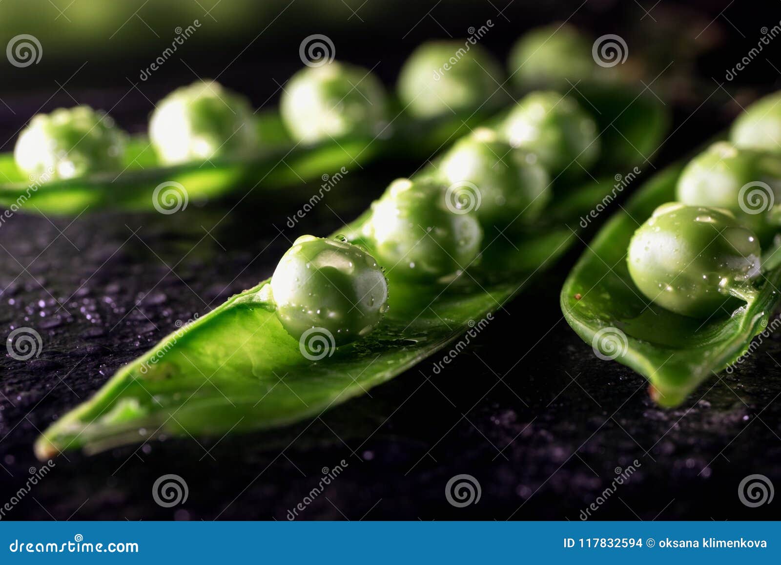 Three Pods with Peas Covered with Drops of Water on Dark Table Surface ...