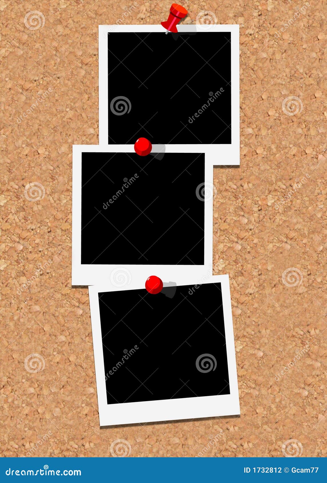 Three Polaroid Frames Stock Illustrations – 75 Three Polaroid Frames ...