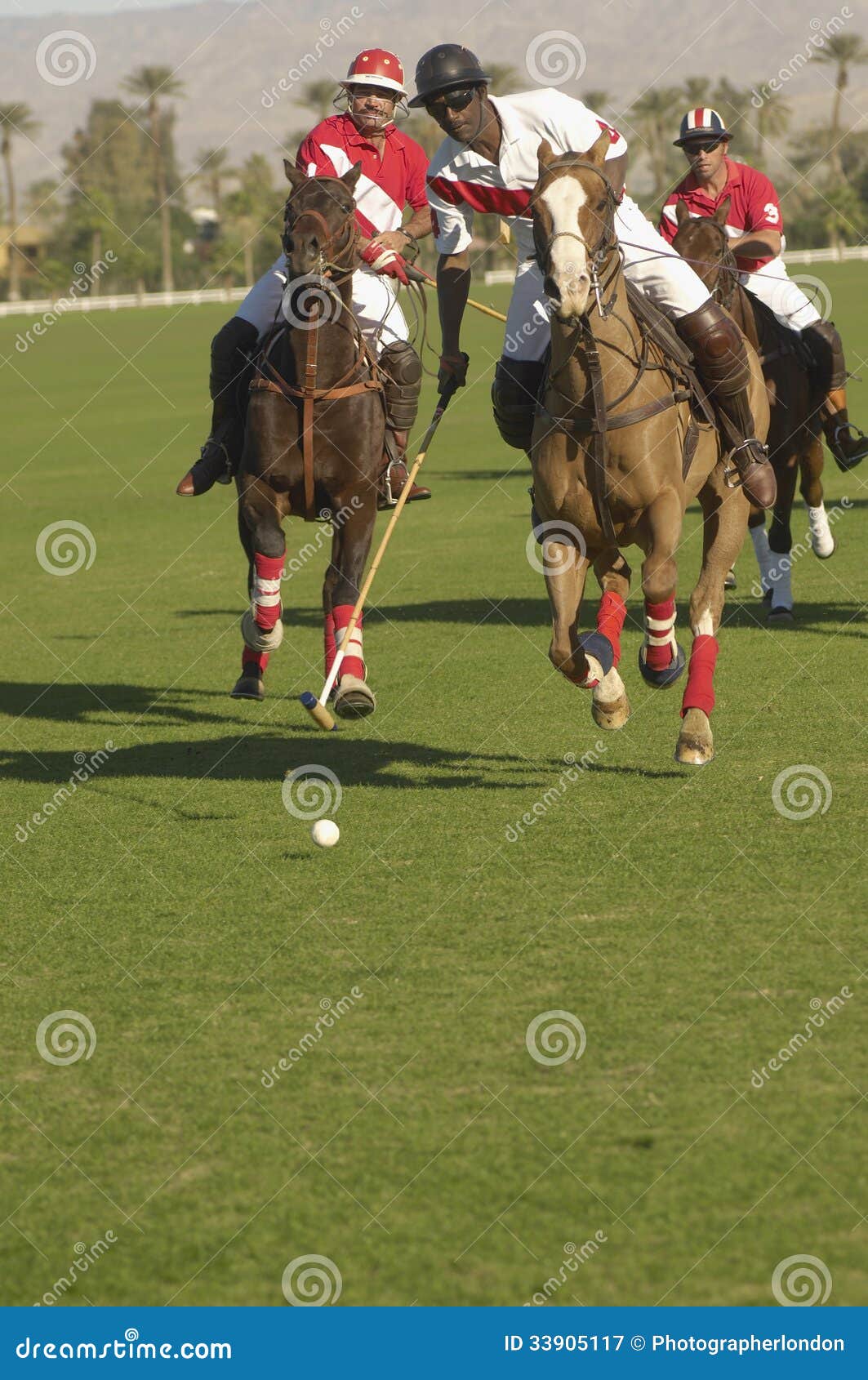 Three Polo Players in Action Stock Image - Image of ball, outdoors ...