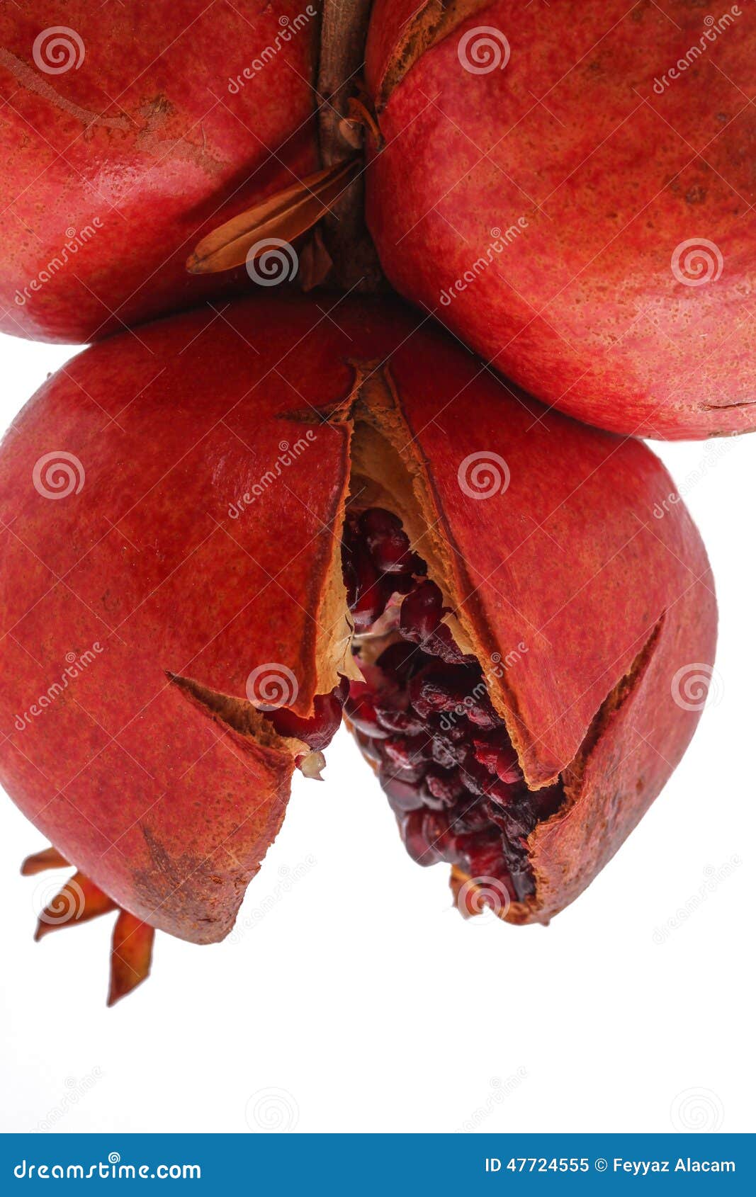Three Pomegranate - Punica Granatum, Called Anar Or Dalim Or Bedana ...