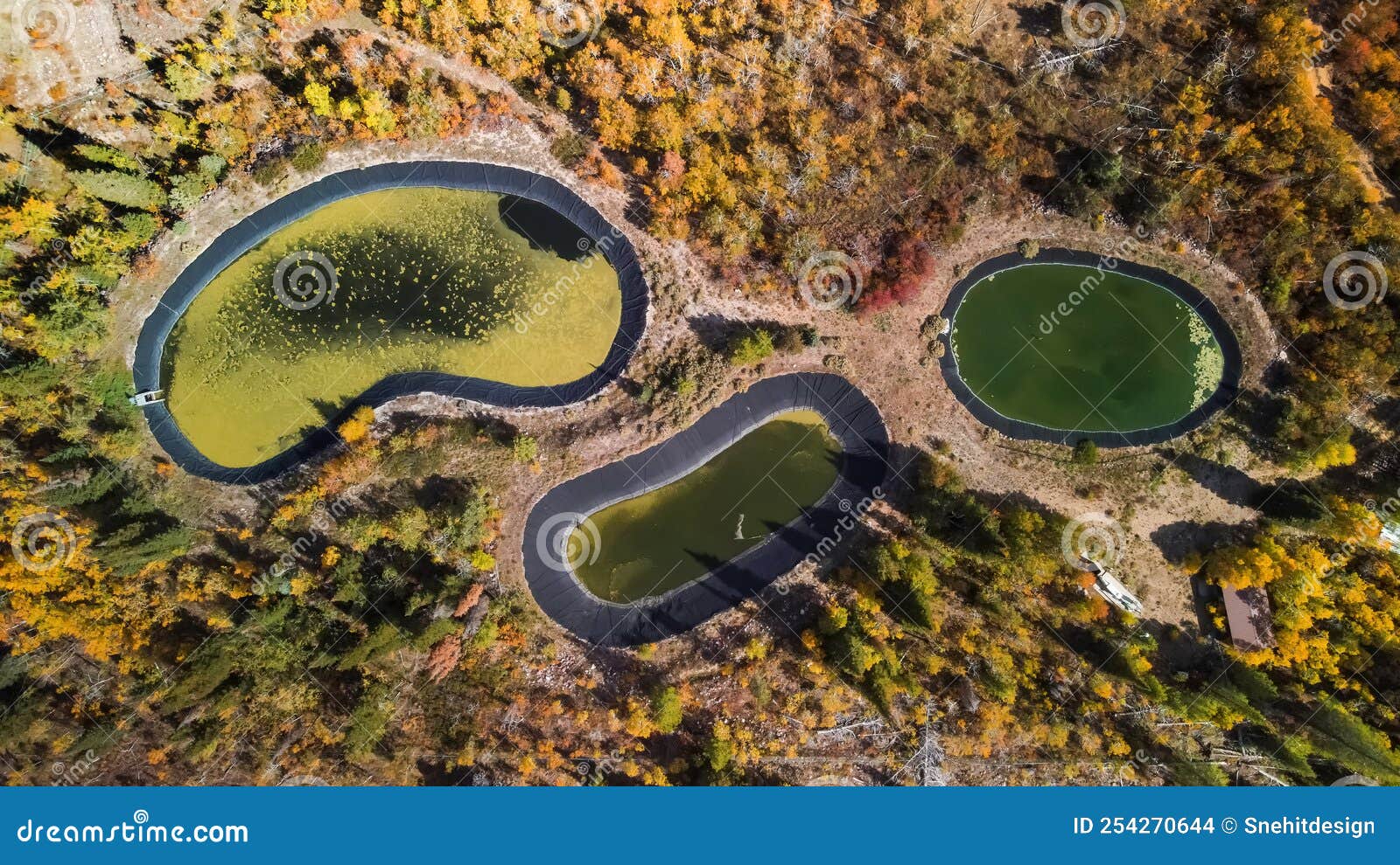 Three Ponds in Uinta Wasatch Cache National Forest Stock Photo - Image ...