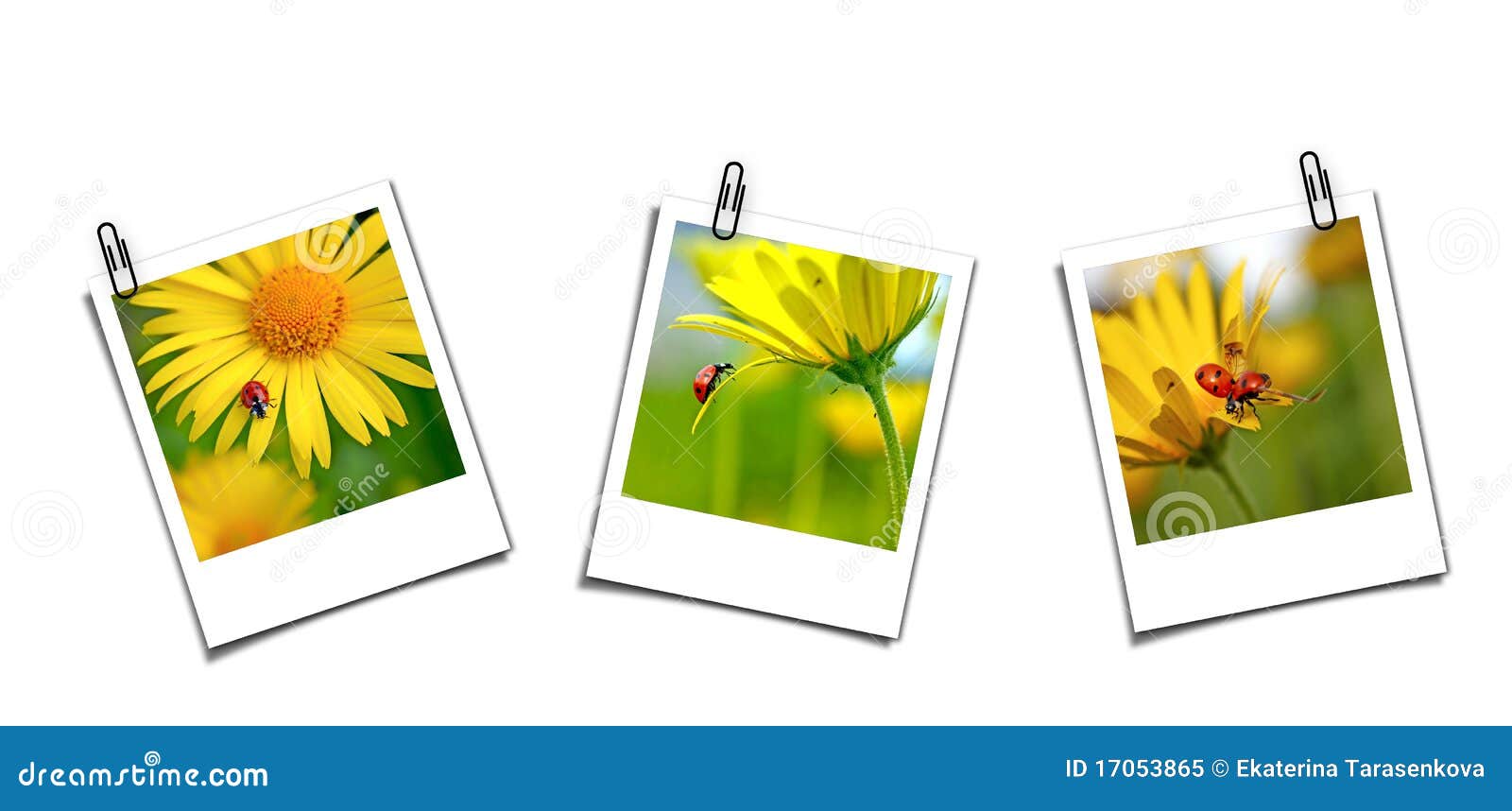Three Postcards Stock Illustrations – 635 Three Postcards Stock ...