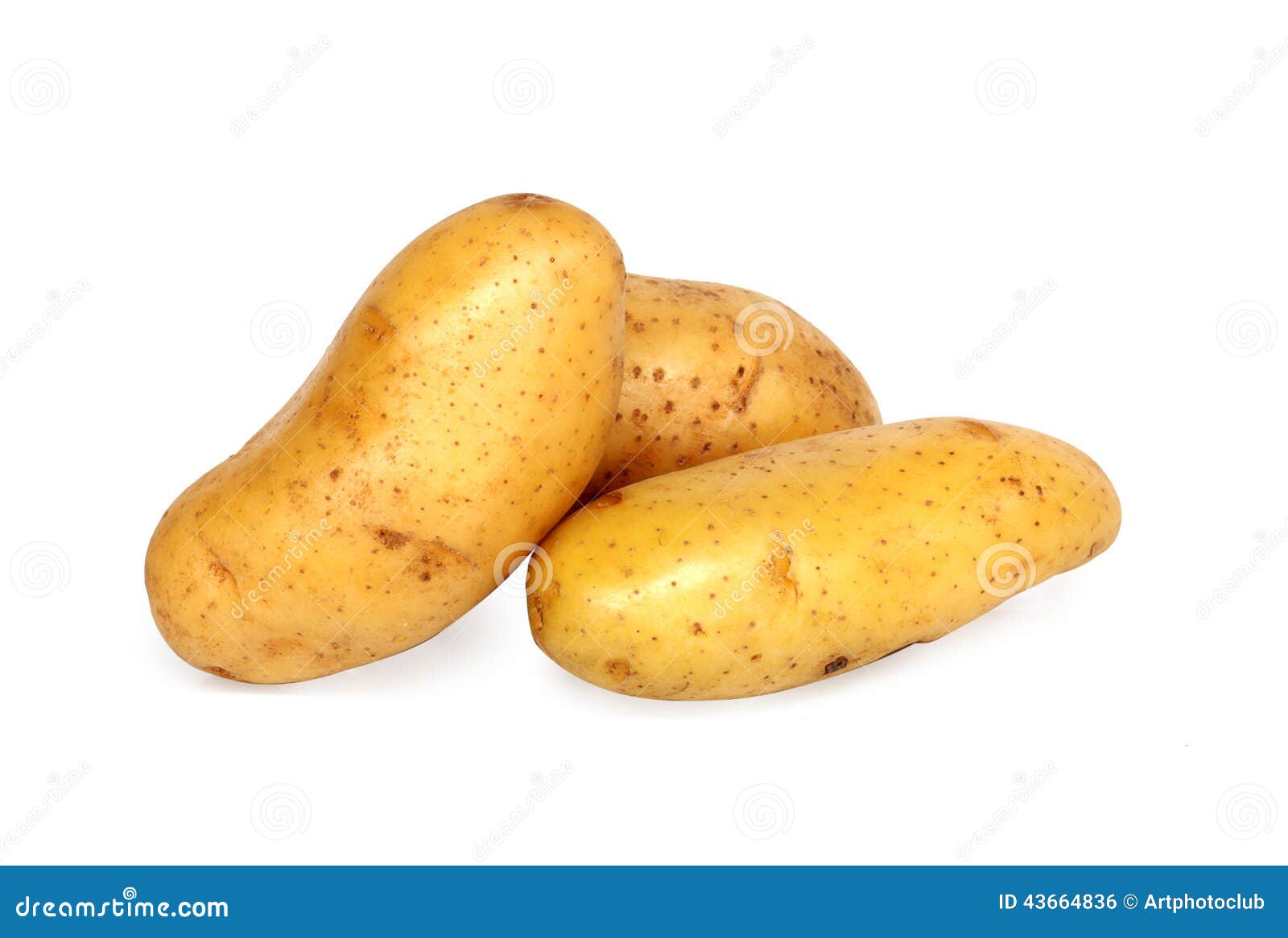 Three Potatoes stock photo. Image of organic, people - 43664836
