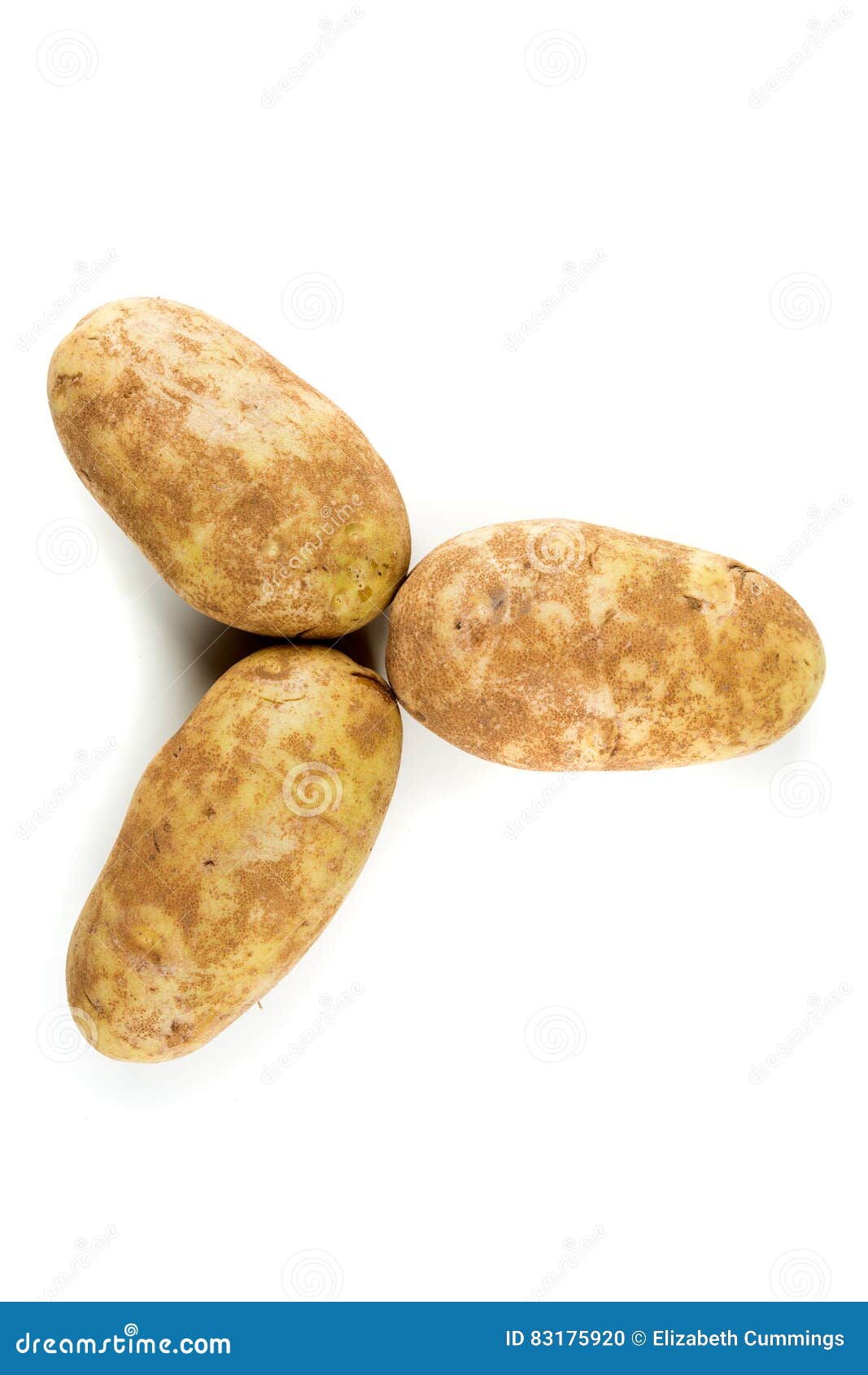Three potatoes stock photo. Image of shallow, root, field - 83175920