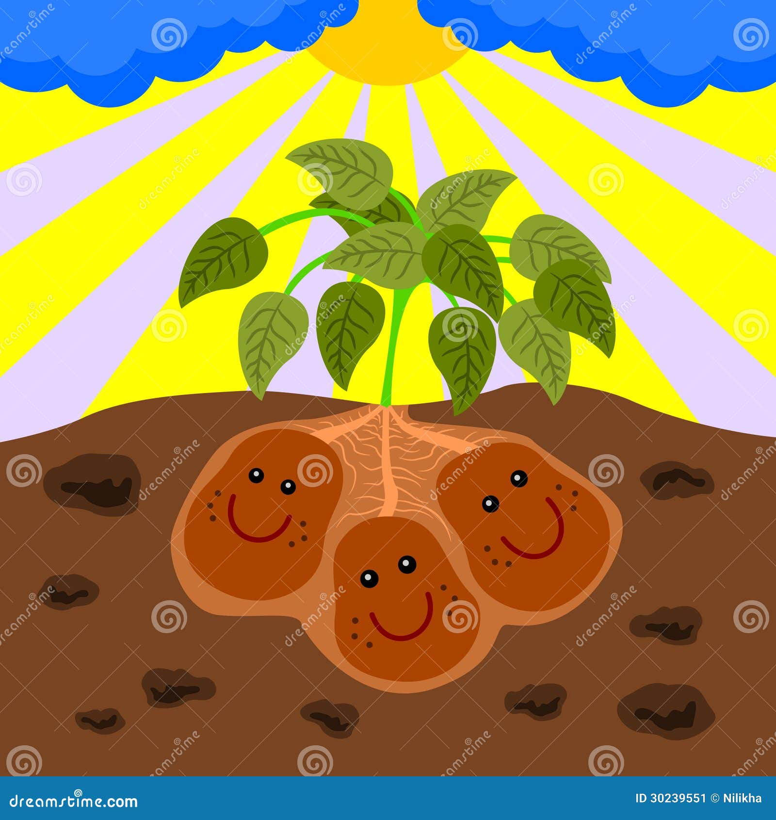 The life of a potato stock illustration. Illustration of food - 30239551