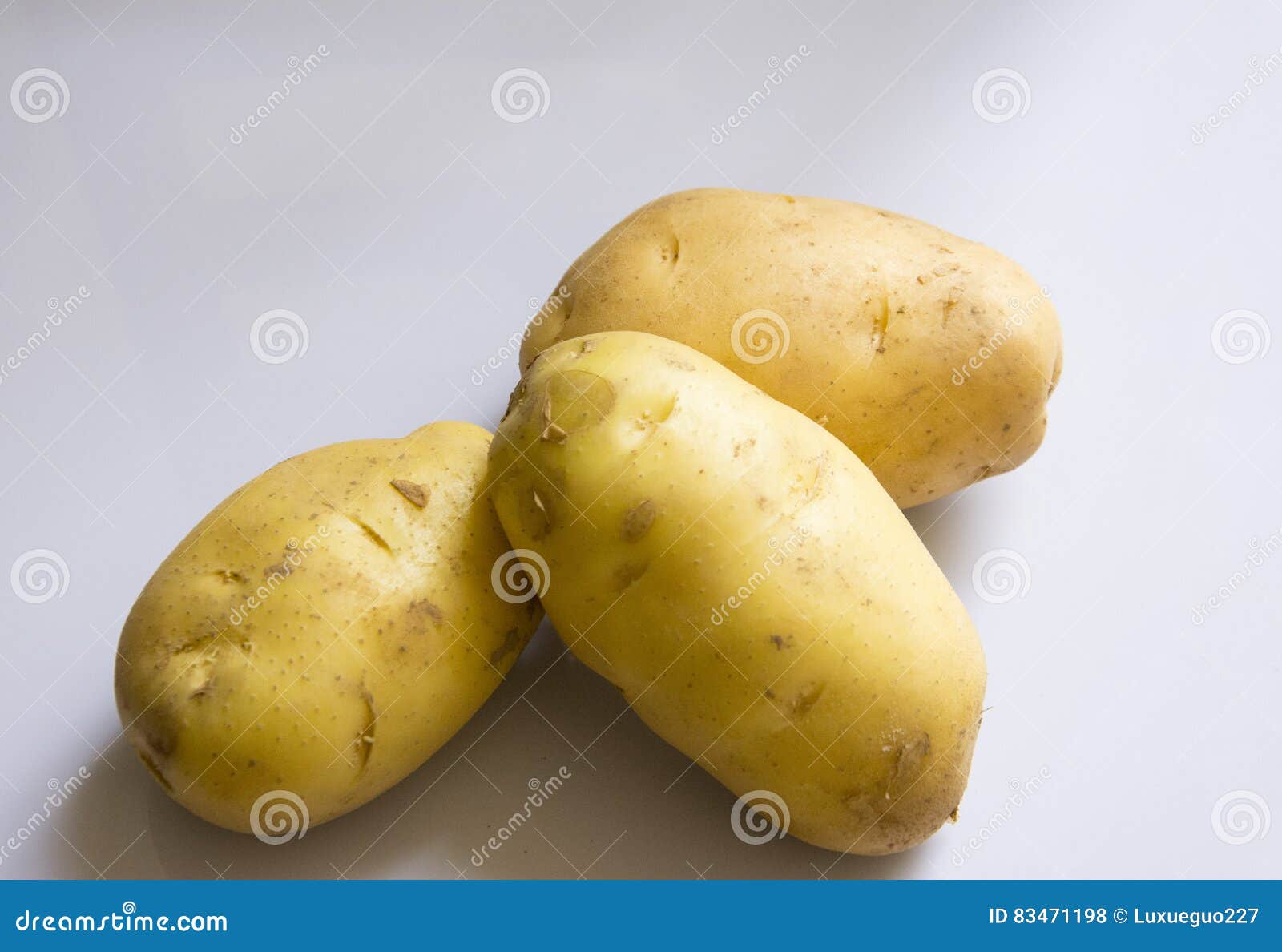 Three Potatoes In The Fertilized Ground Ready For Spring Planting ...