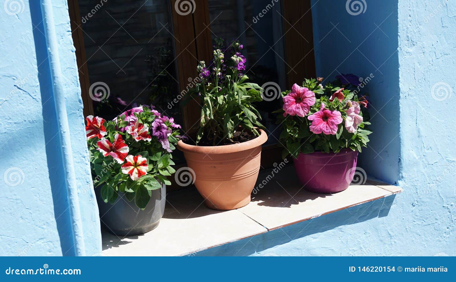Three Pots of Flowers on the Windowsill in Cyprus Stock Photo - Image ...