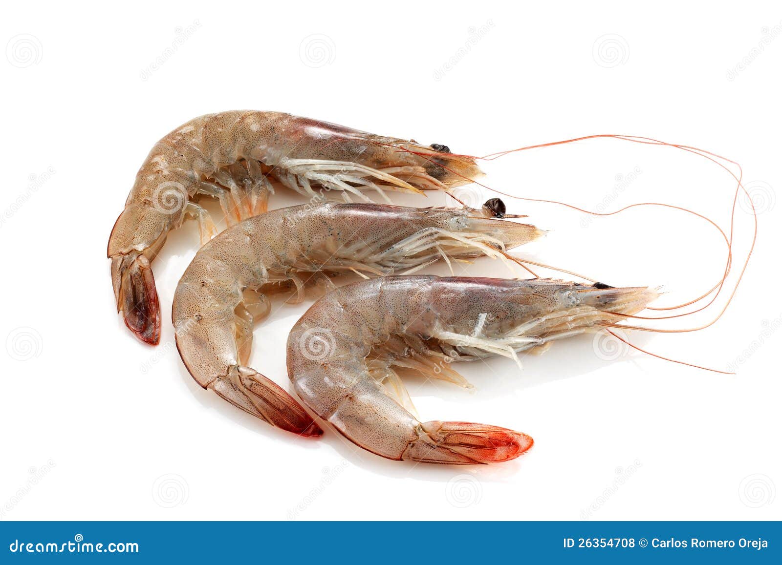 Three prawns crude stock photo. Image of unpeeled, seafood - 26354708