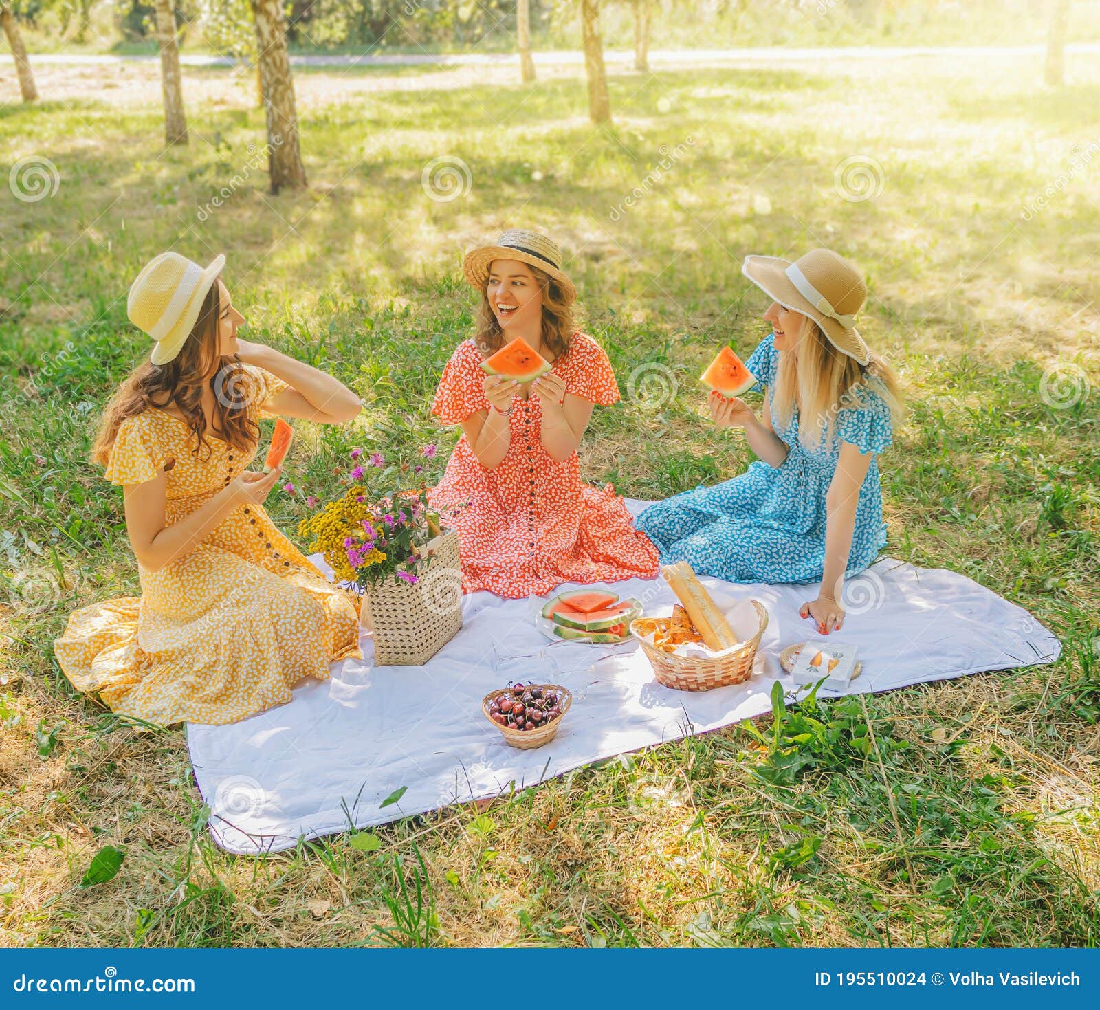Three Pretty Womans on the Picnic in the Park at Summertime Season ...