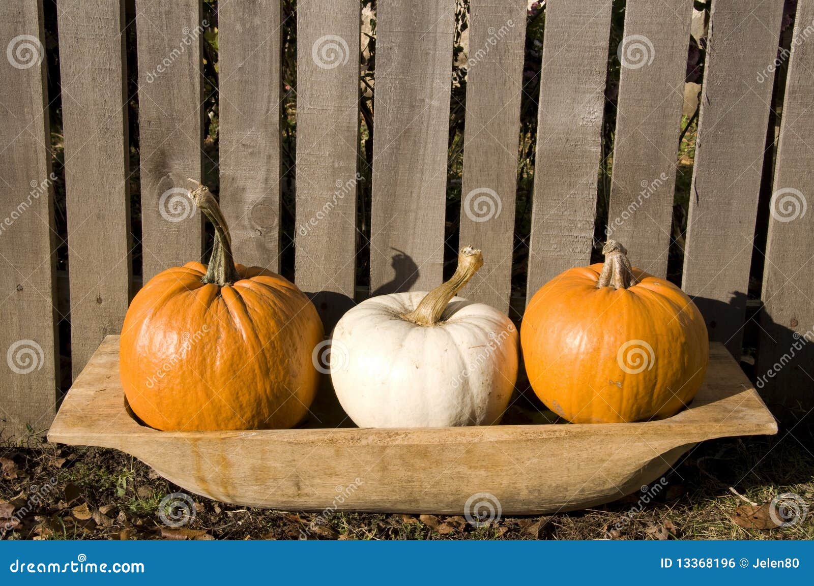 Three pumpkins stock photo. Image of turkey, gravy, cranberry - 13368196