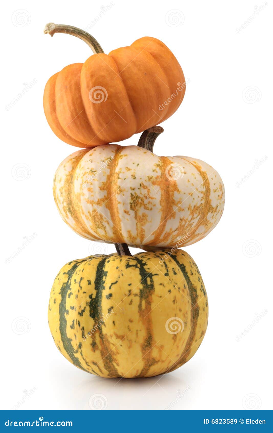Three pumpkins stock image. Image of food, green, white - 6823589