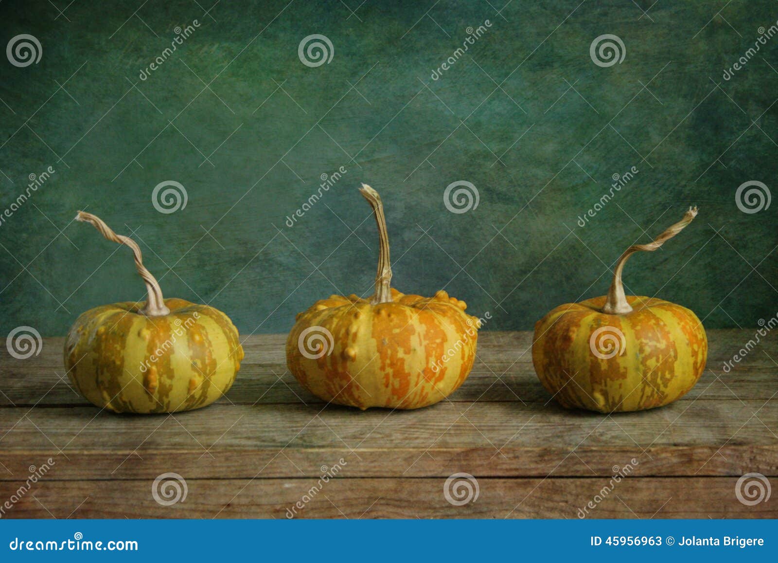 Three pumpkins stock image. Image of pumkins, ancient - 45956963
