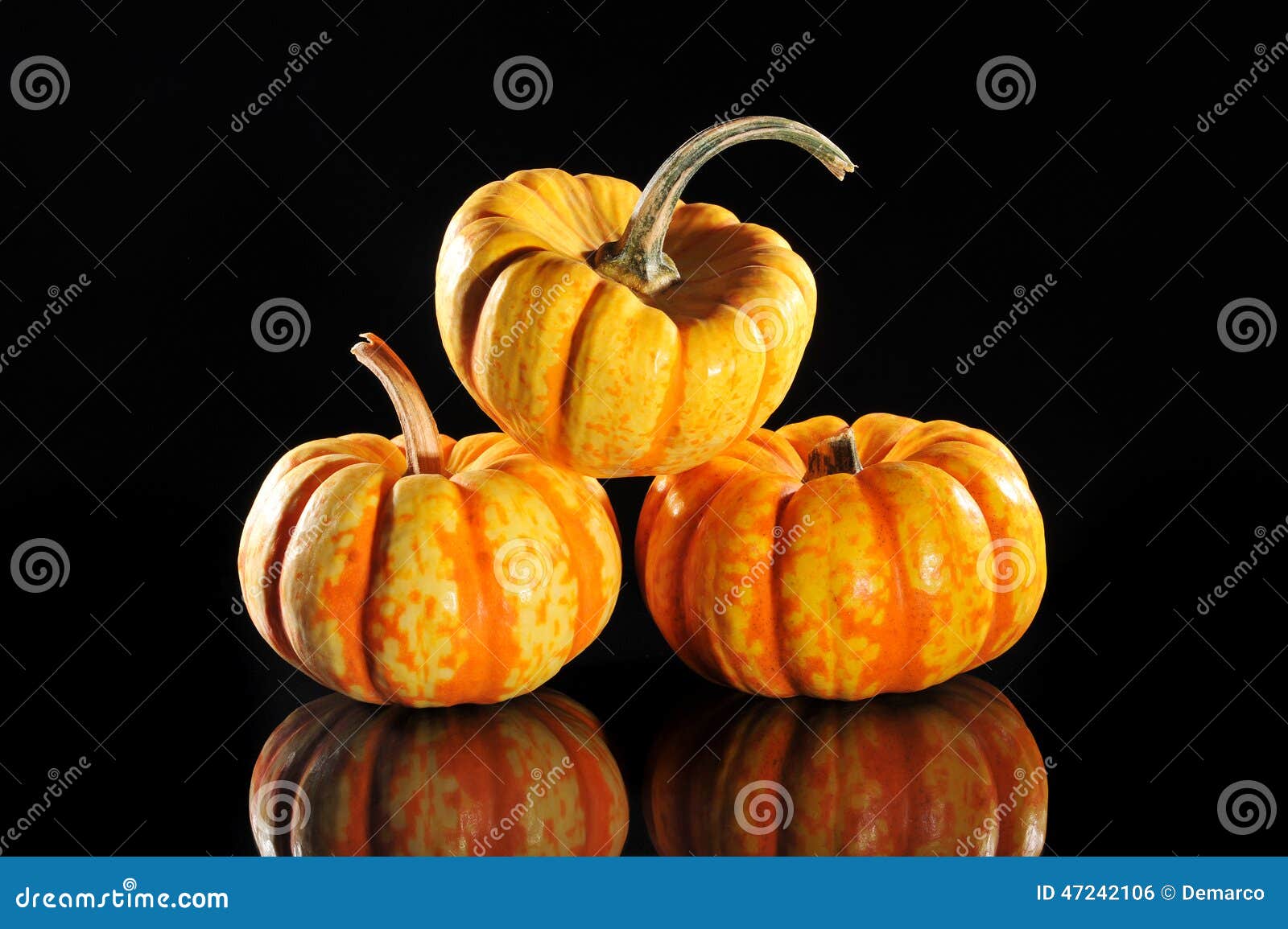 Three pumpkins stock photo. Image of three, vegetable - 47242106